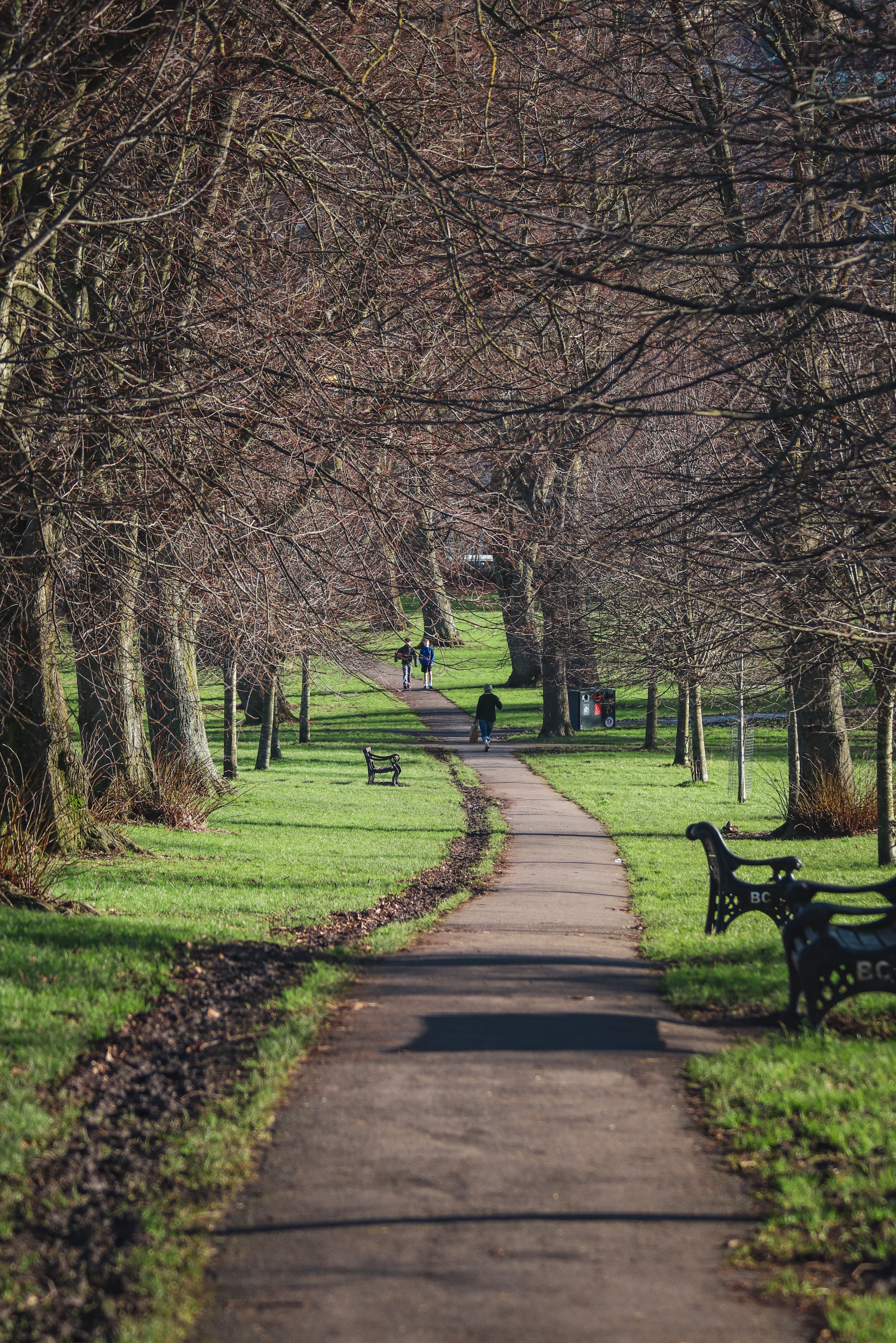 Scenic Park in Early Spring · Free Stock Photo