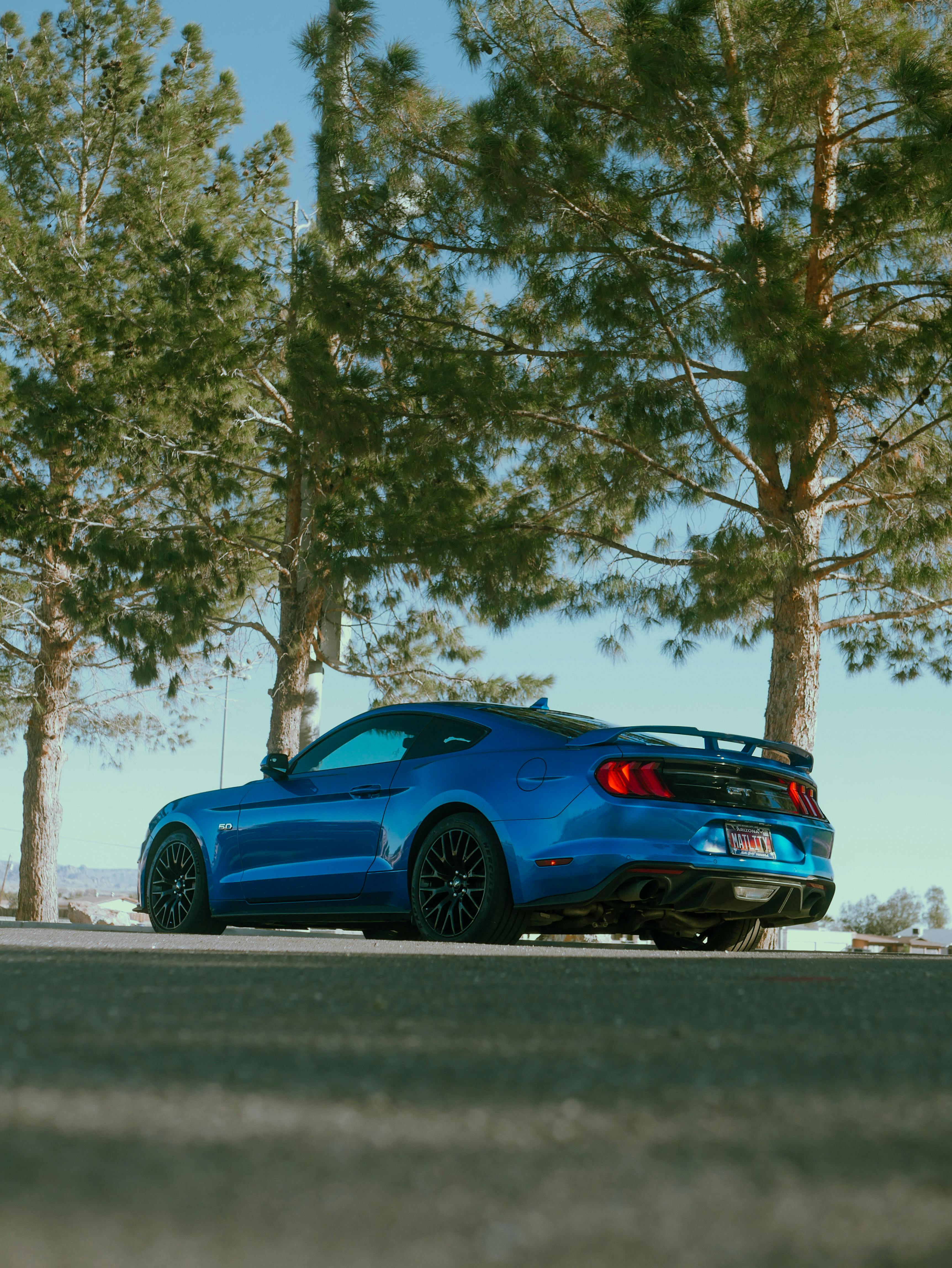 Back View of a Blue Sports Car · Free Stock Photo