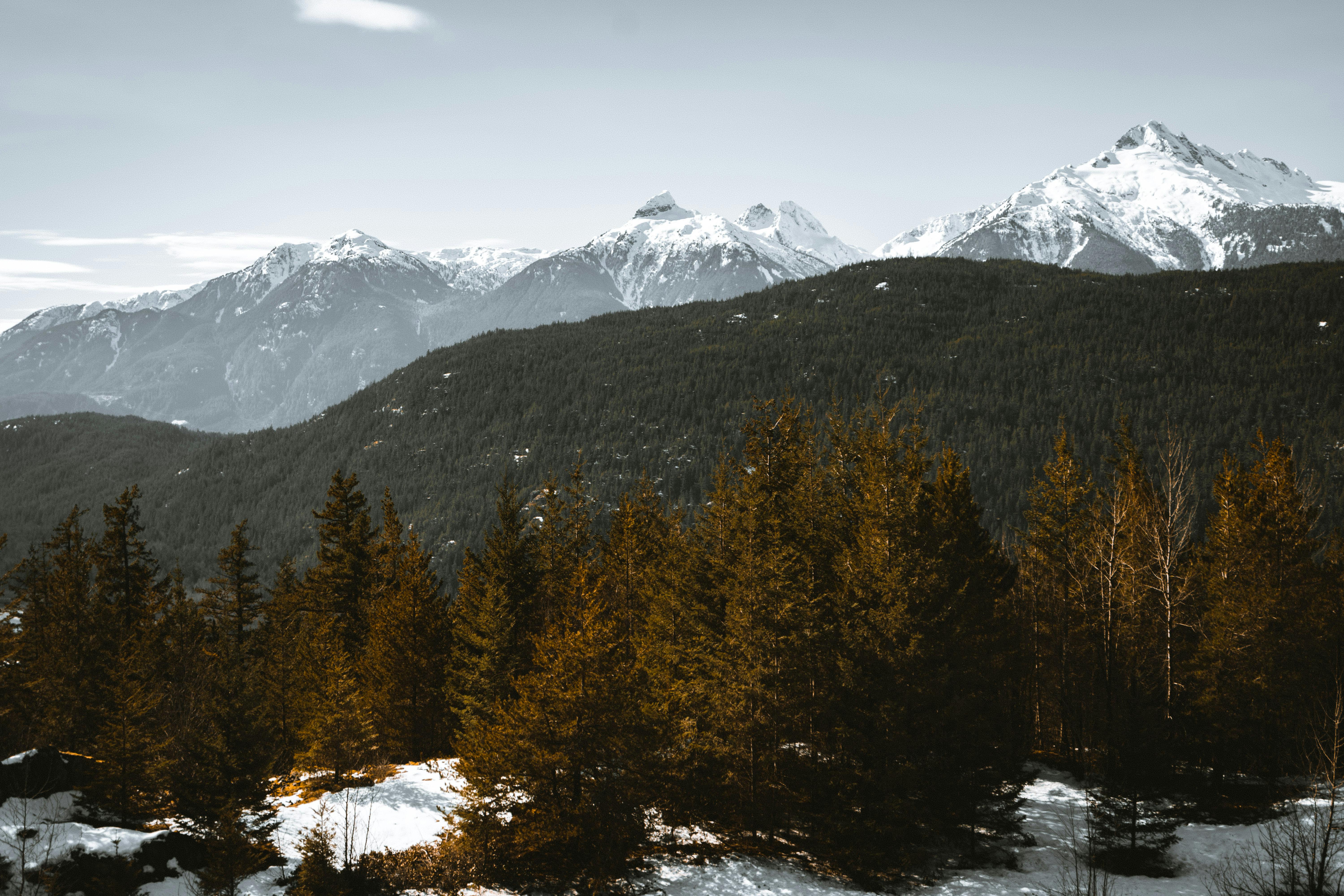 Winter Landscape Photos, Download The BEST Free Winter Landscape Stock ...