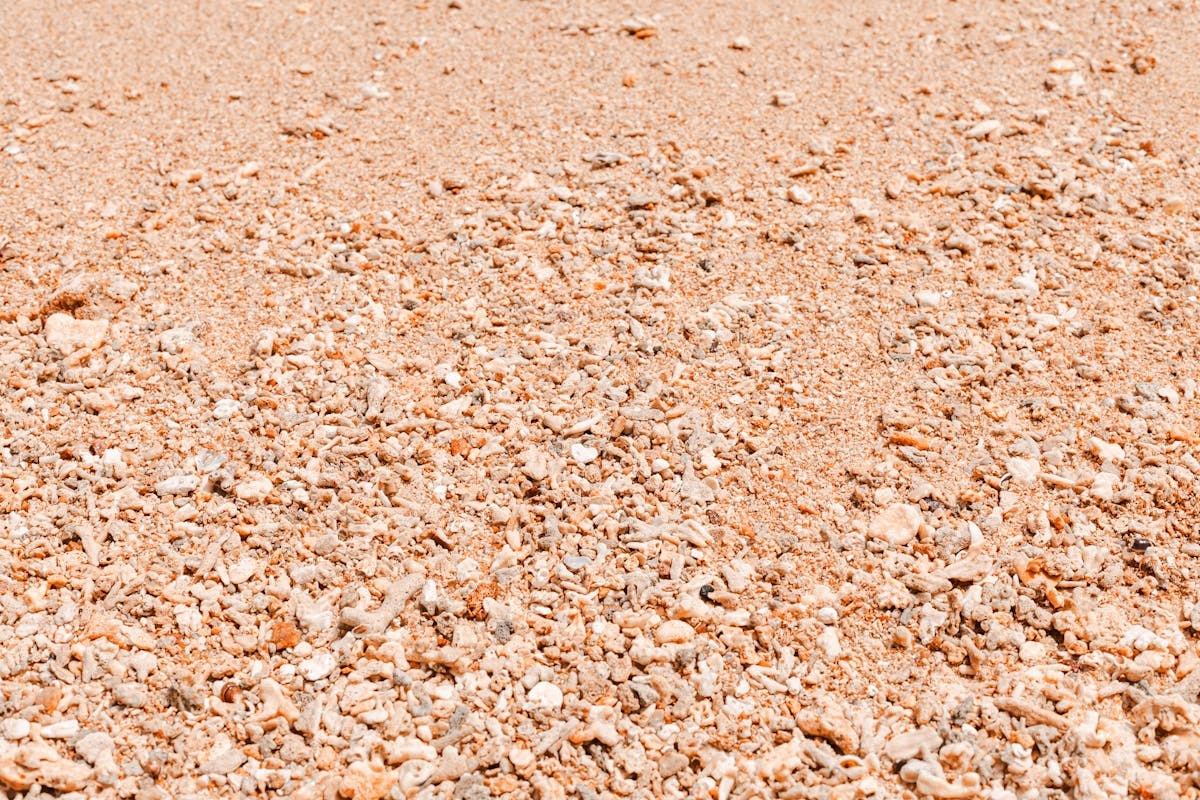 Painted Pebbles Photos, Download The BEST Free Painted Pebbles Stock ...