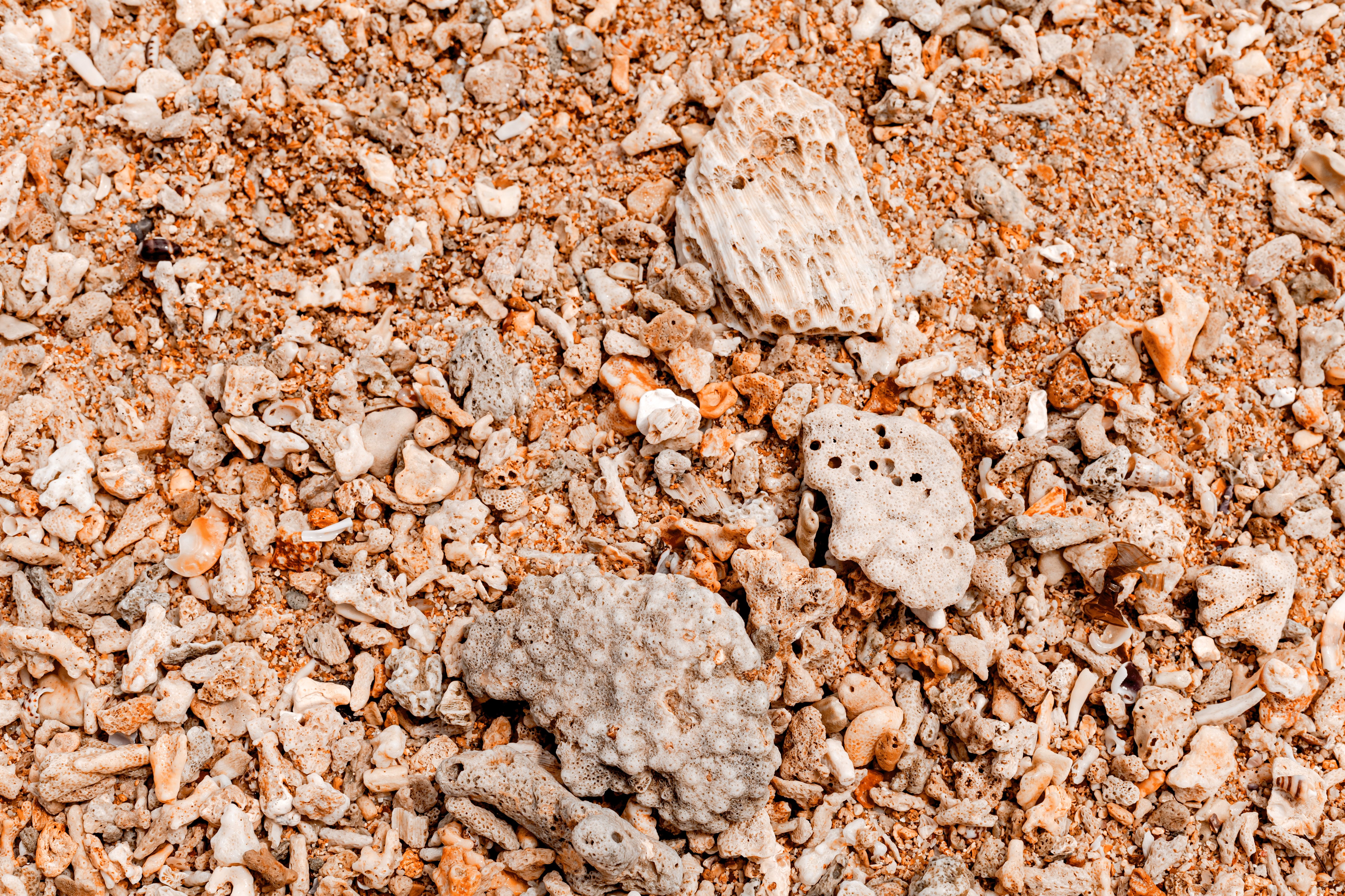 A close up of a pile of sand and gravel · Free Stock Photo