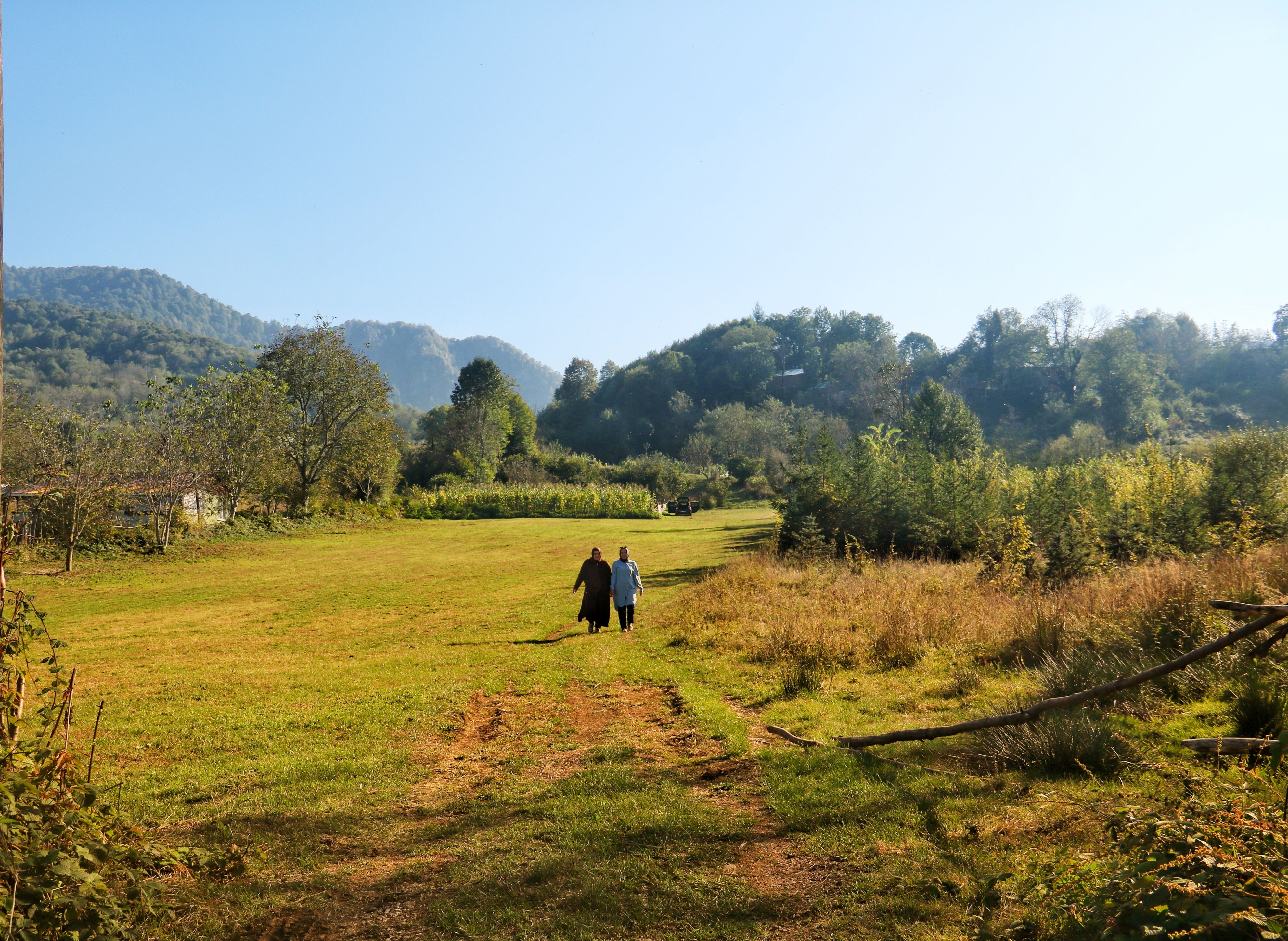 Women Walking on Grassland in Countryside · Free Stock Photo