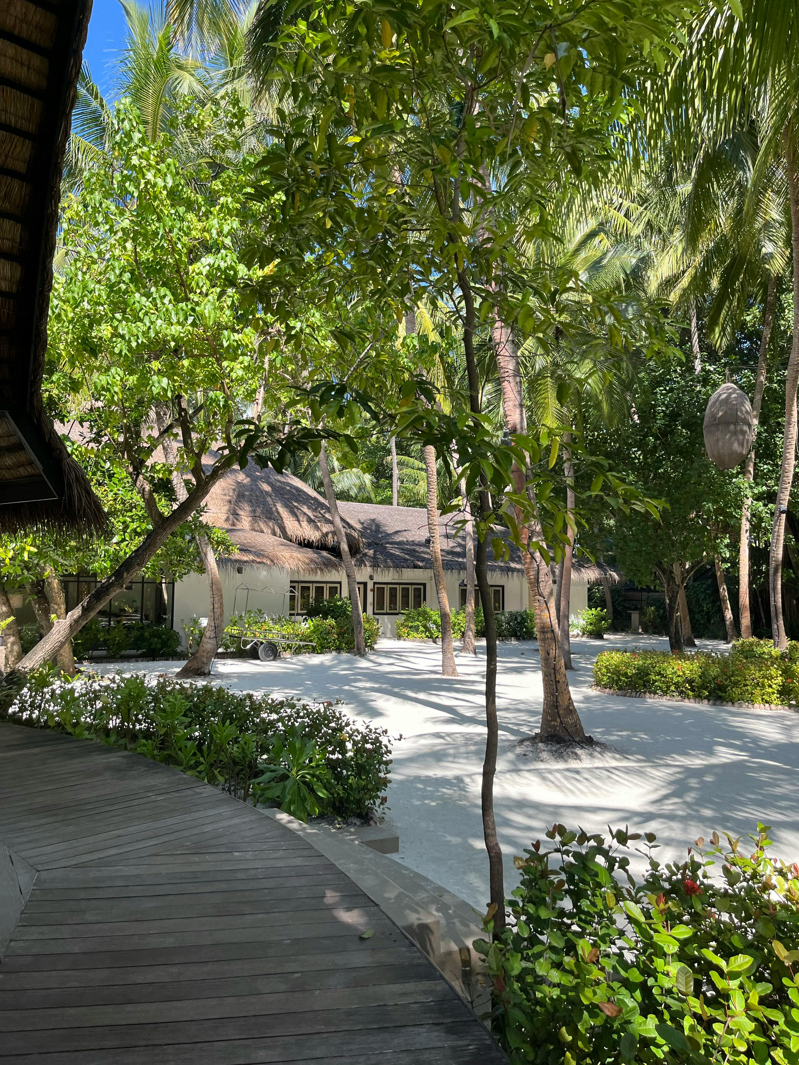 Black Pathway Between Green Trees Towards Body of Water during Daytime ...