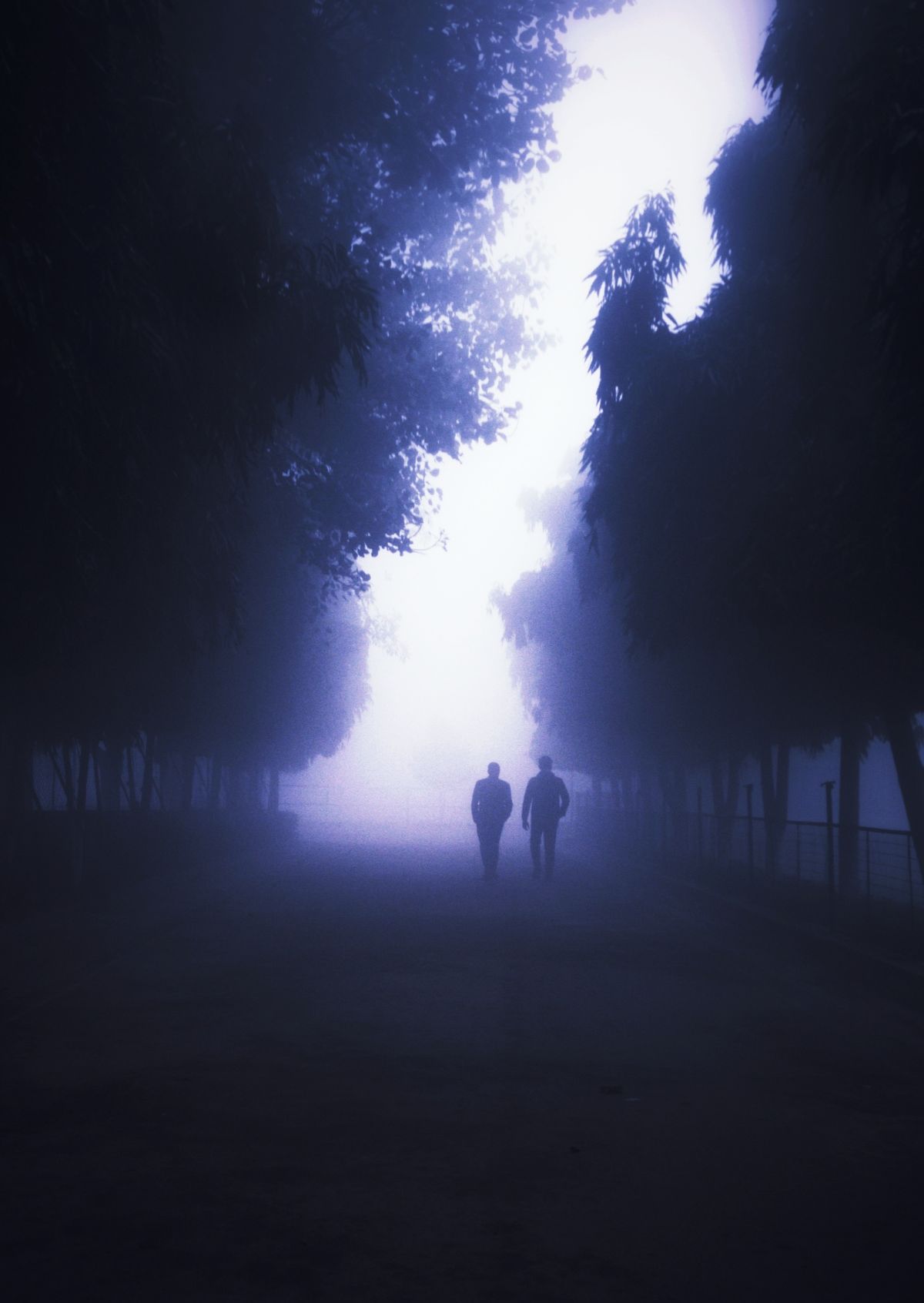 Walking In Darkness Photos, Download The BEST Free Walking In Darkness ...