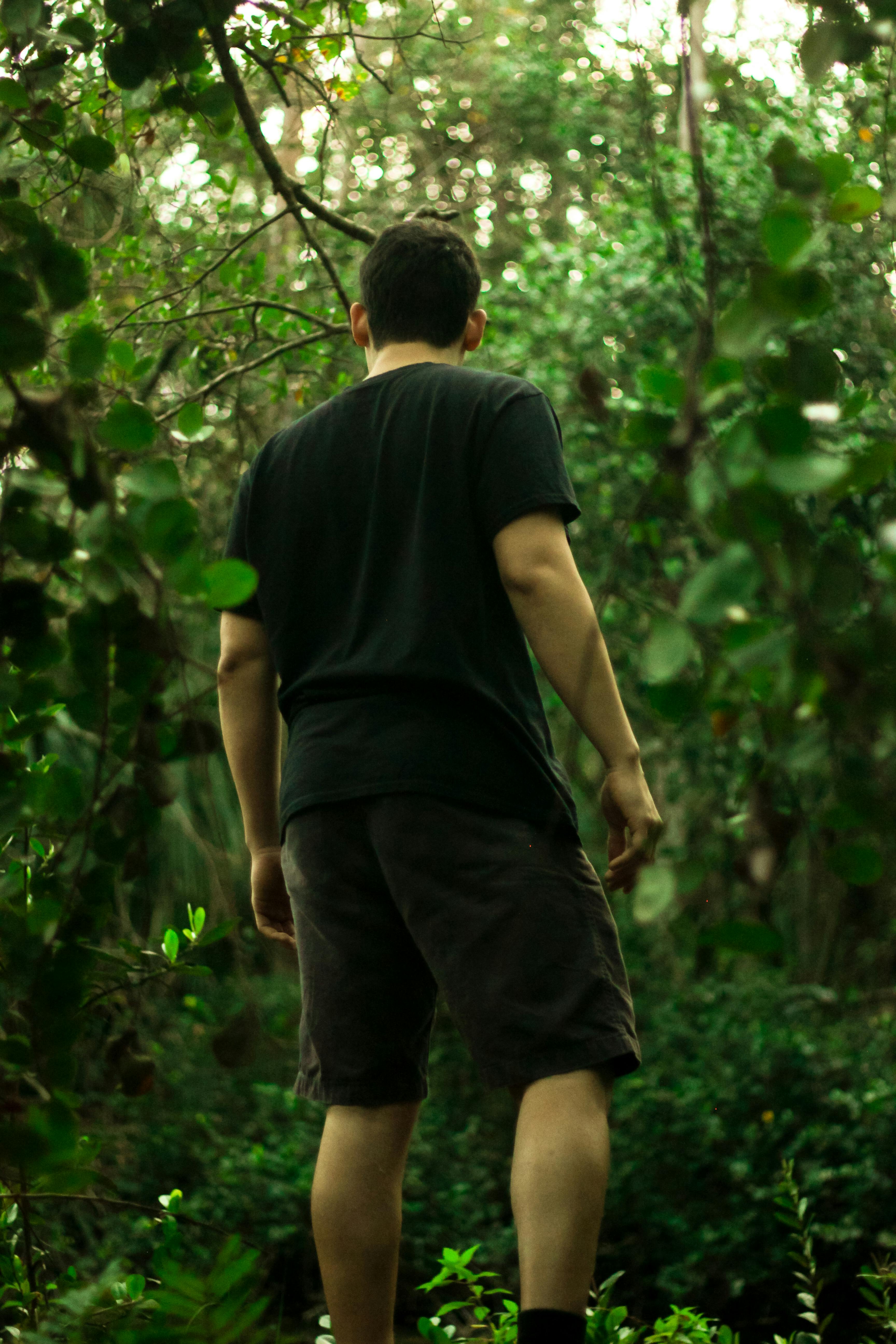 Wandering Photos, Download The BEST Free Wandering Stock Photos & HD Images