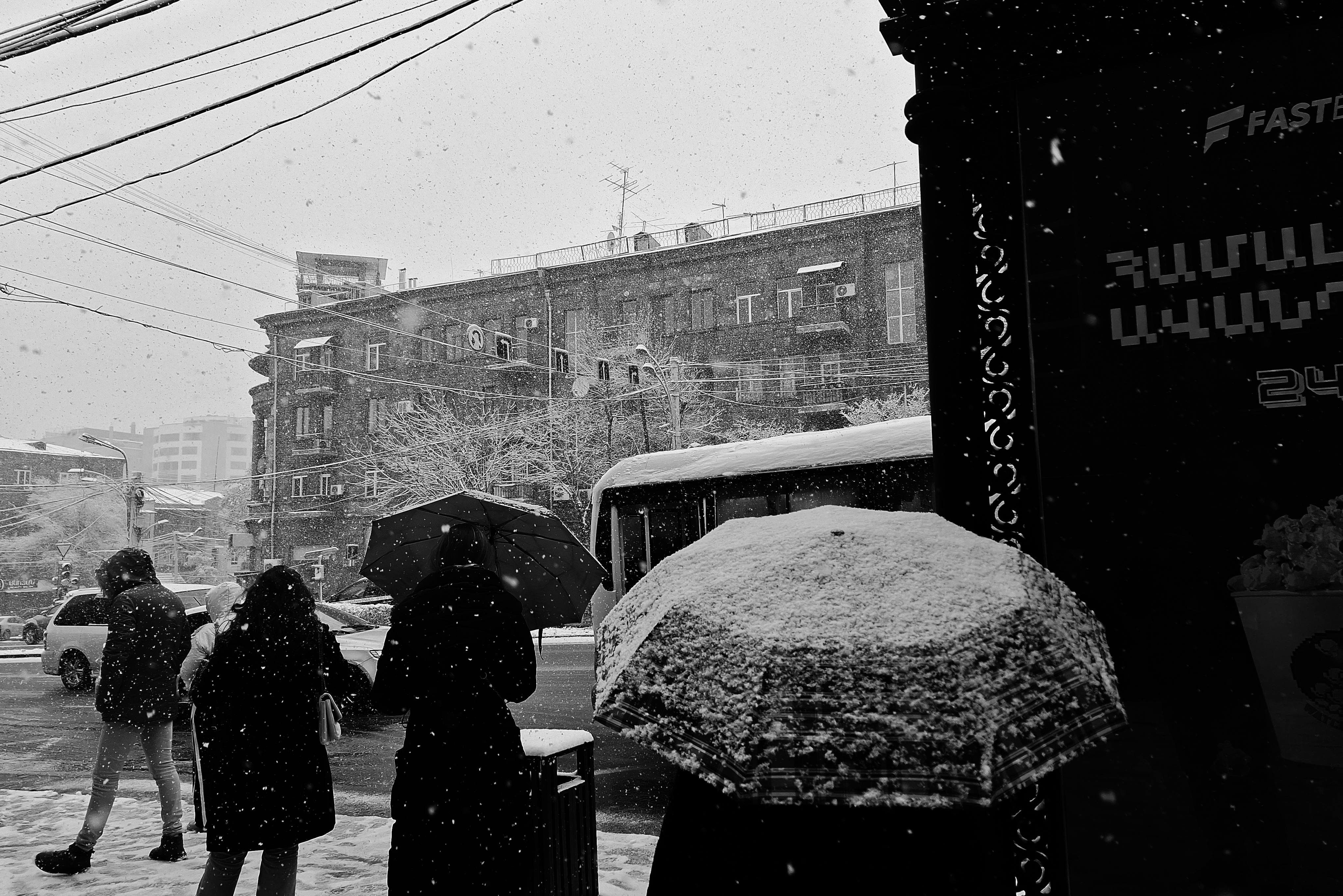 People with Umbrellas During Snowstorm in Detroit, USA · Free Stock Photo