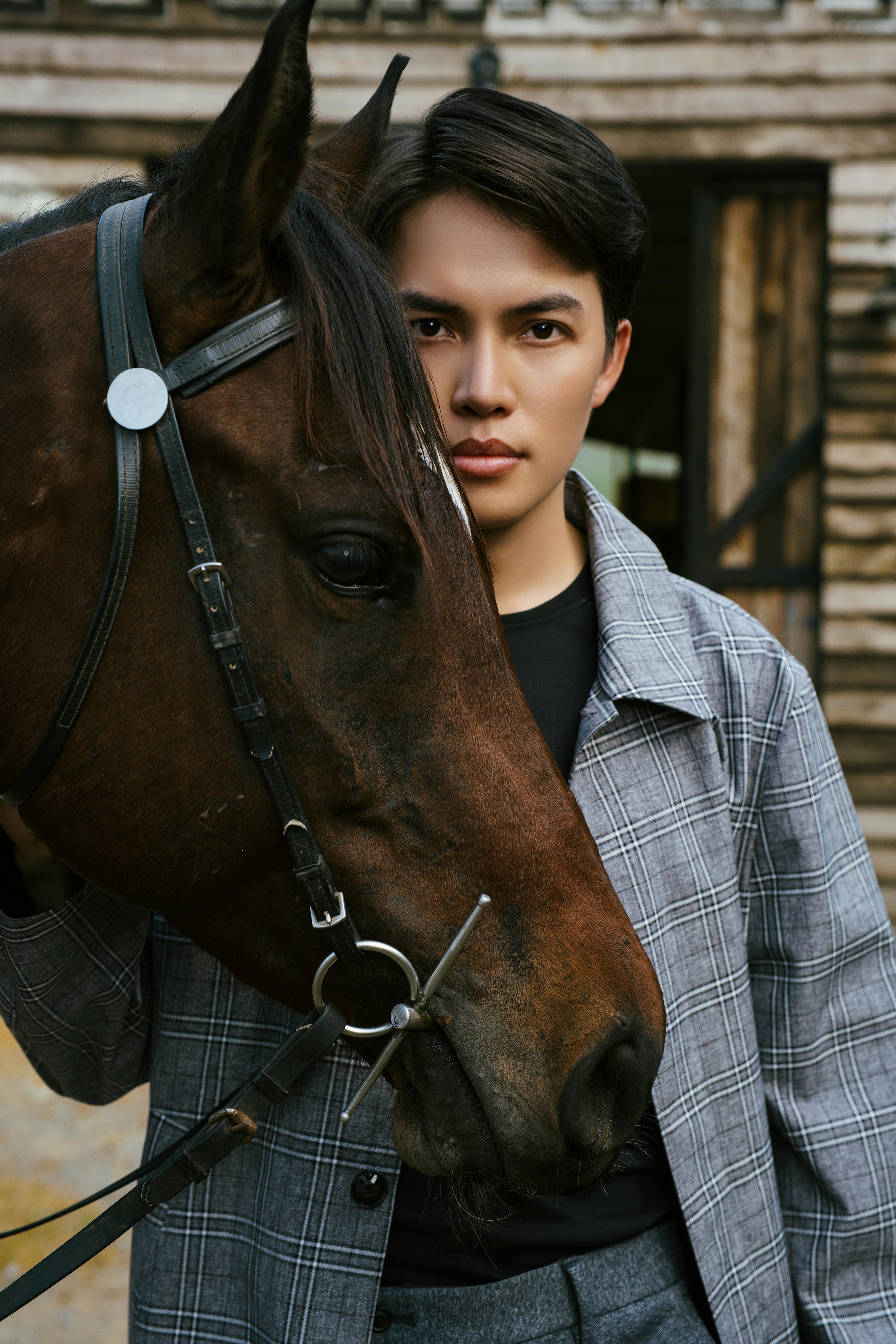 Short Horse Photos, Download The BEST Free Short Horse Stock Photos ...