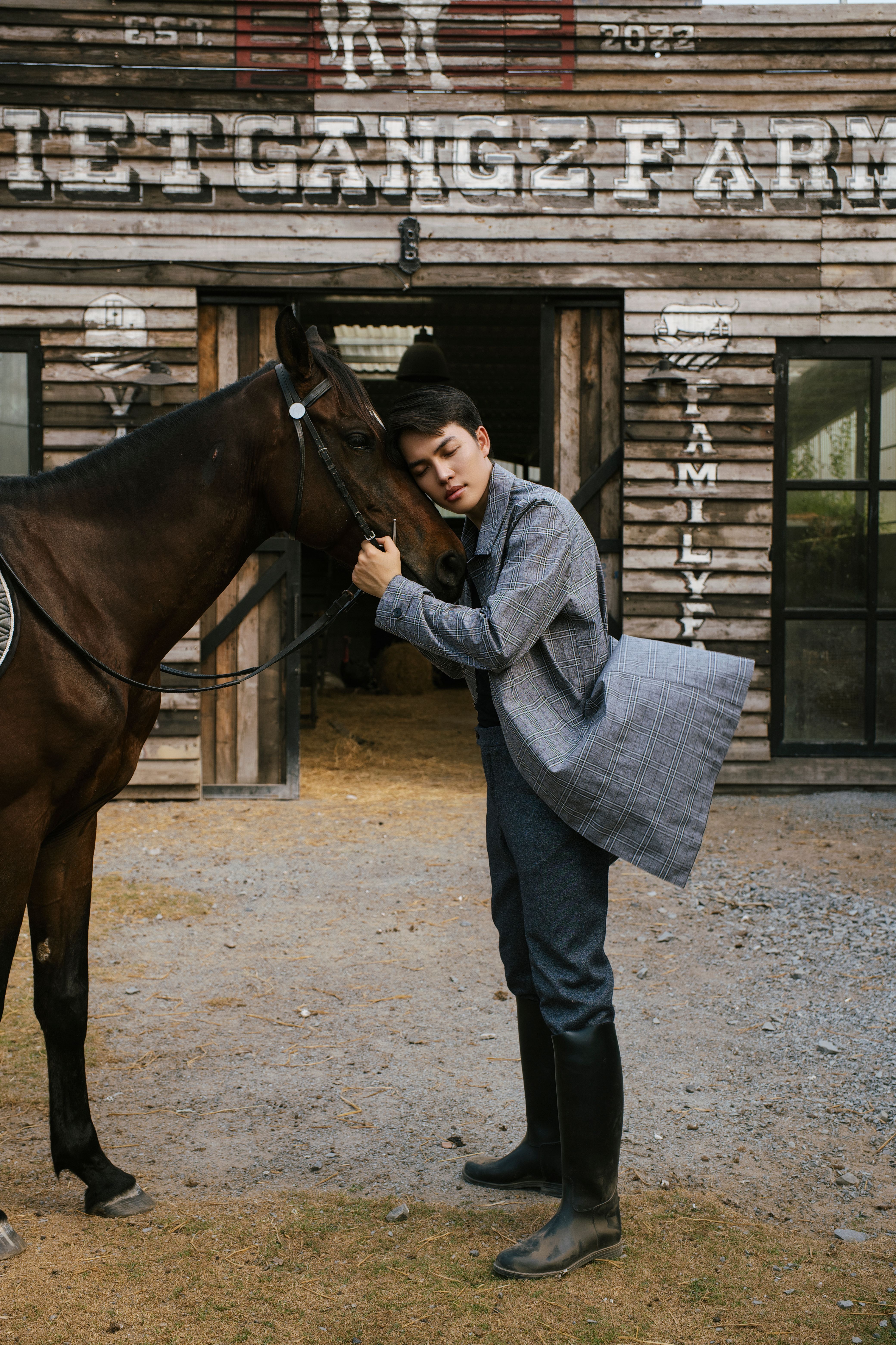 Stable Family Photos, Download The BEST Free Stable Family Stock Photos ...
