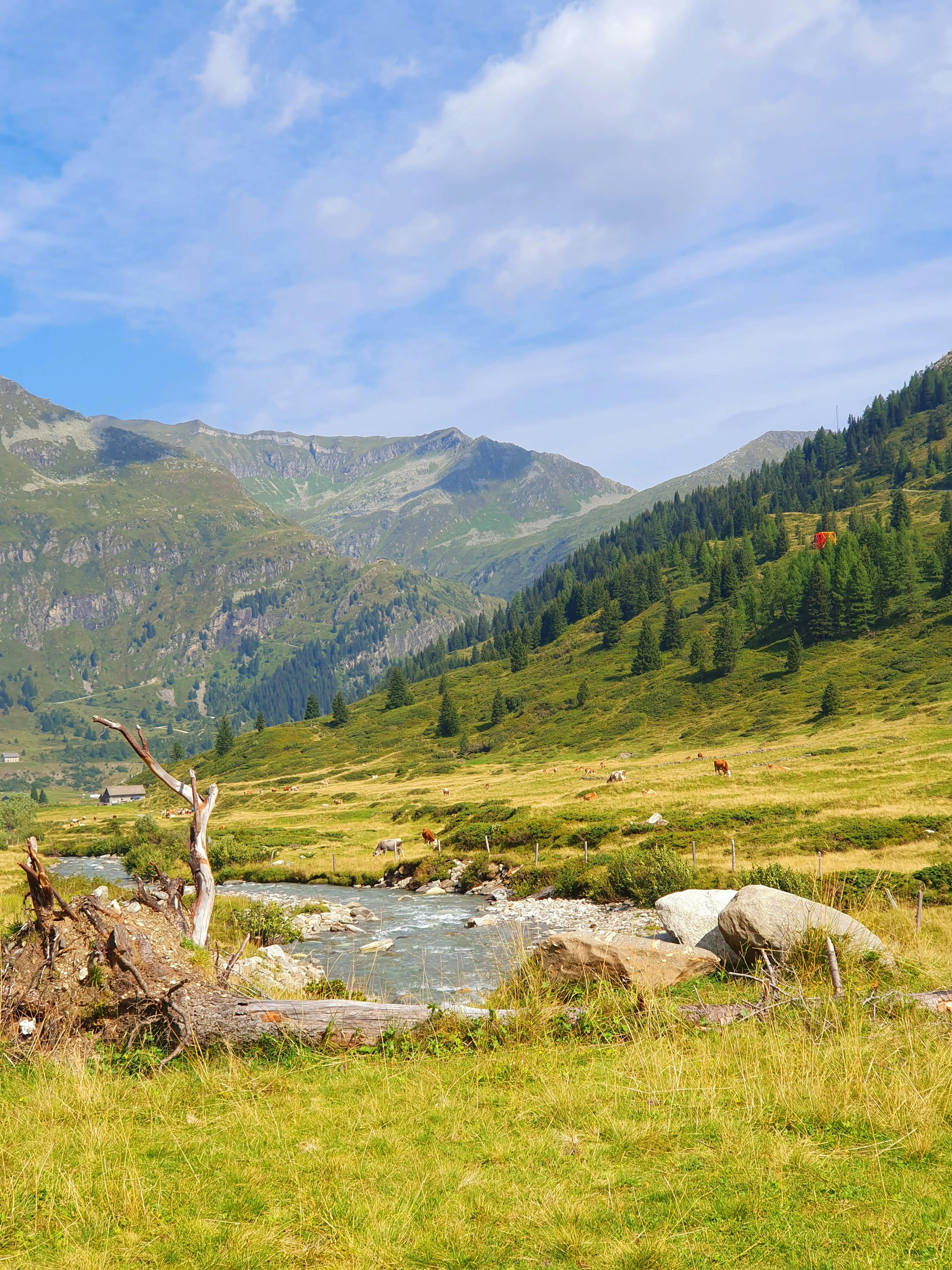 Green, Calm Valley · Free Stock Photo