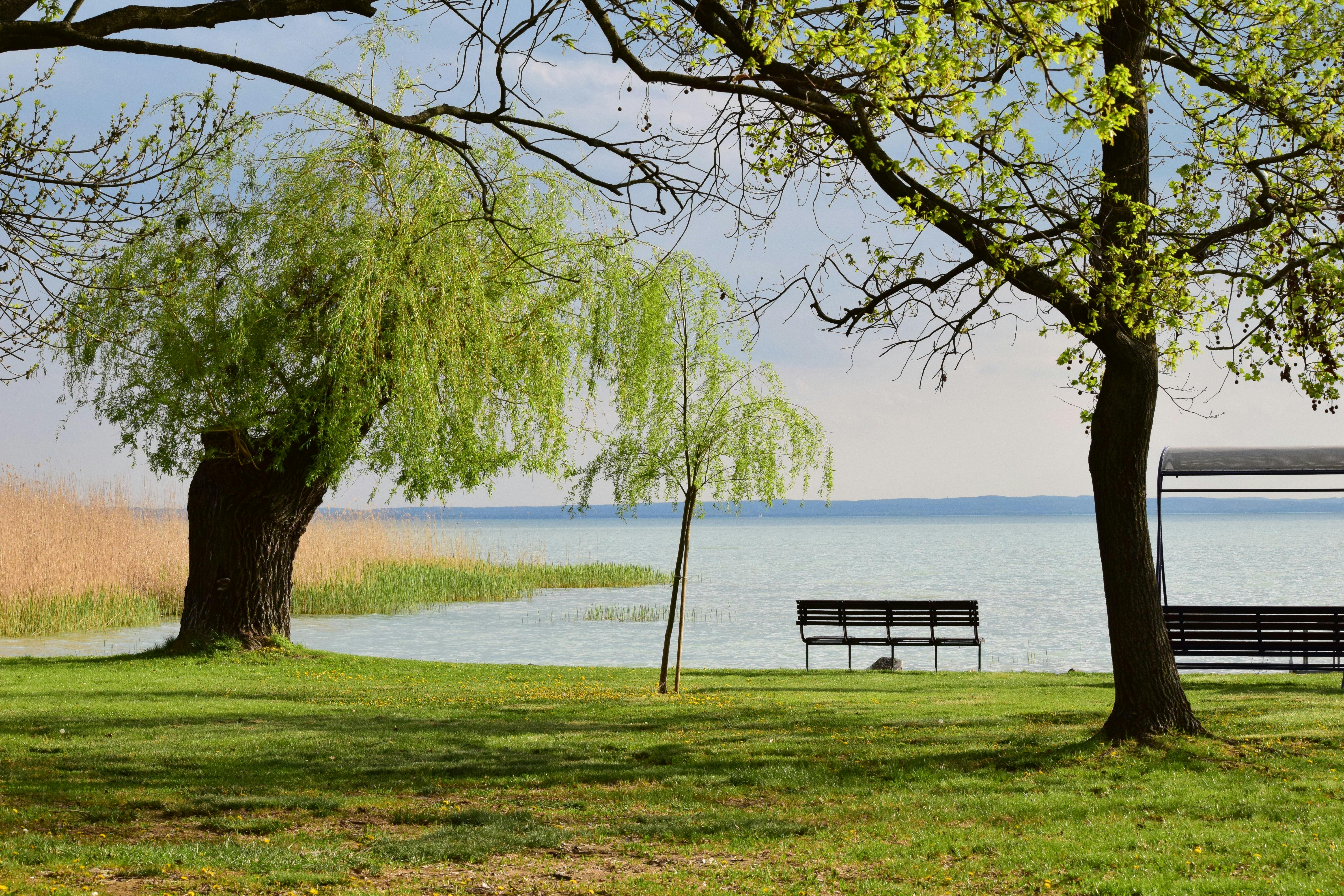 Park Scenery Photos, Download The BEST Free Park Scenery Stock Photos ...