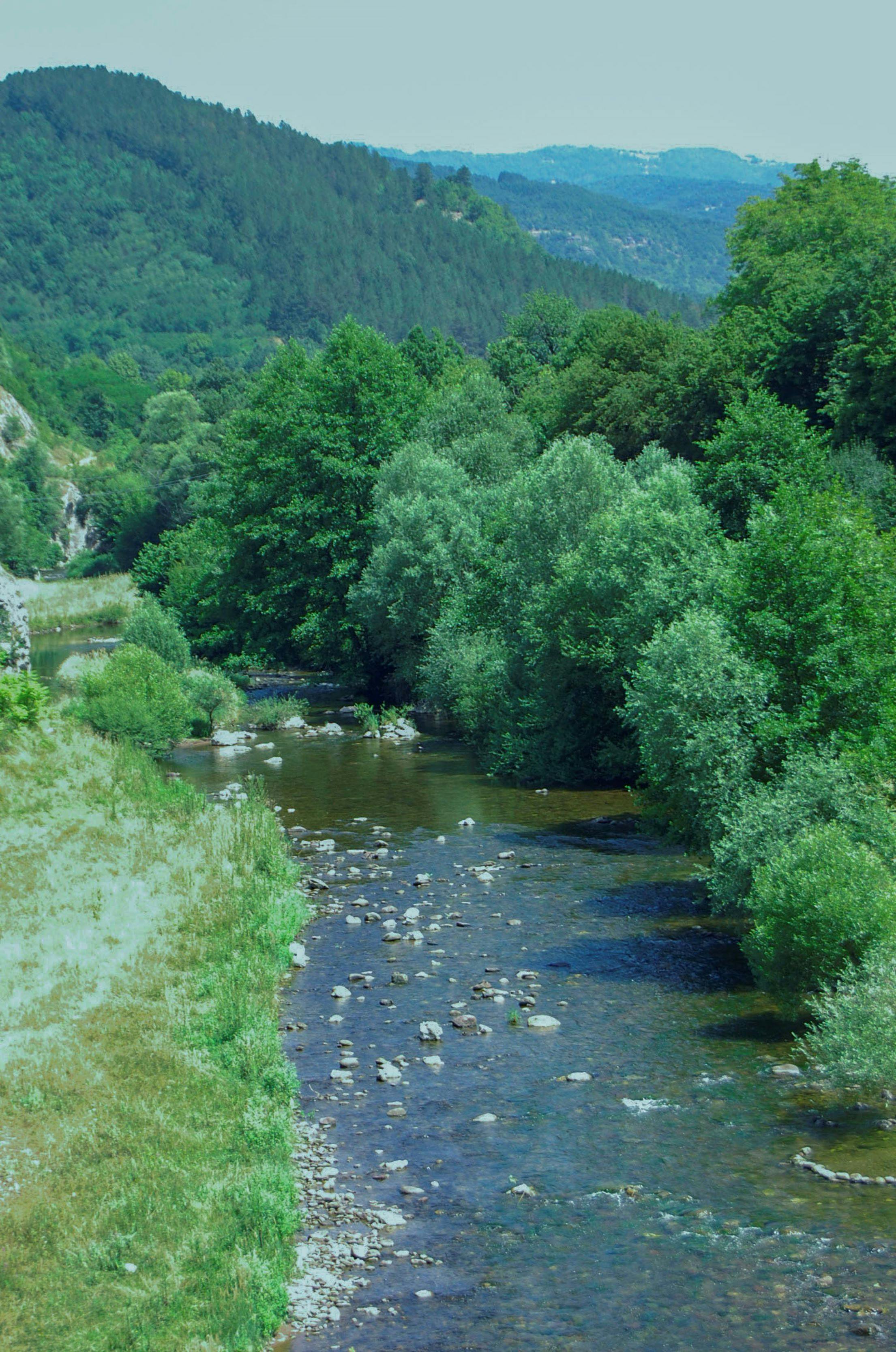 Pirot Photos, Download The BEST Free Pirot Stock Photos & HD Images