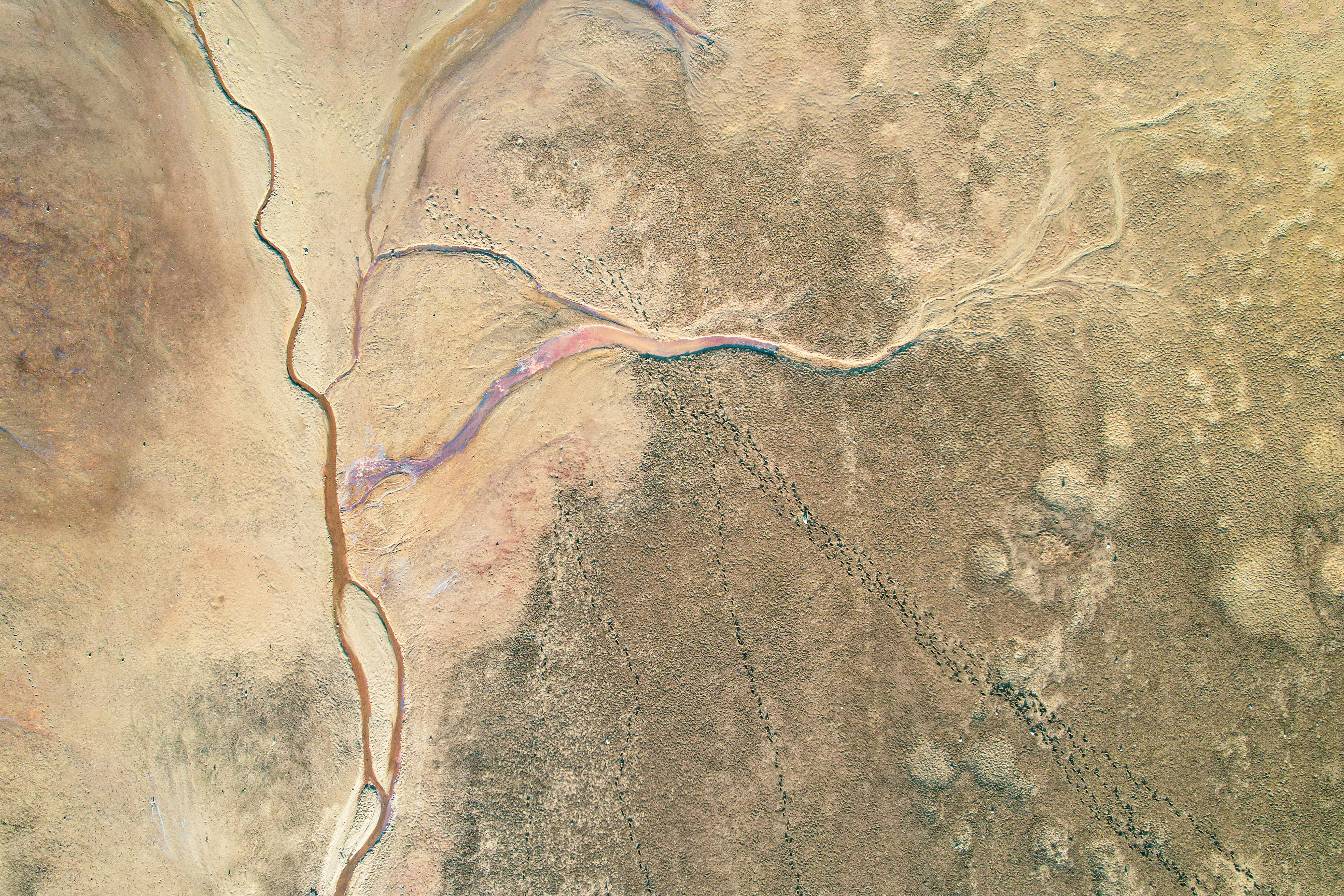 Desert Erg · Free Stock Photo