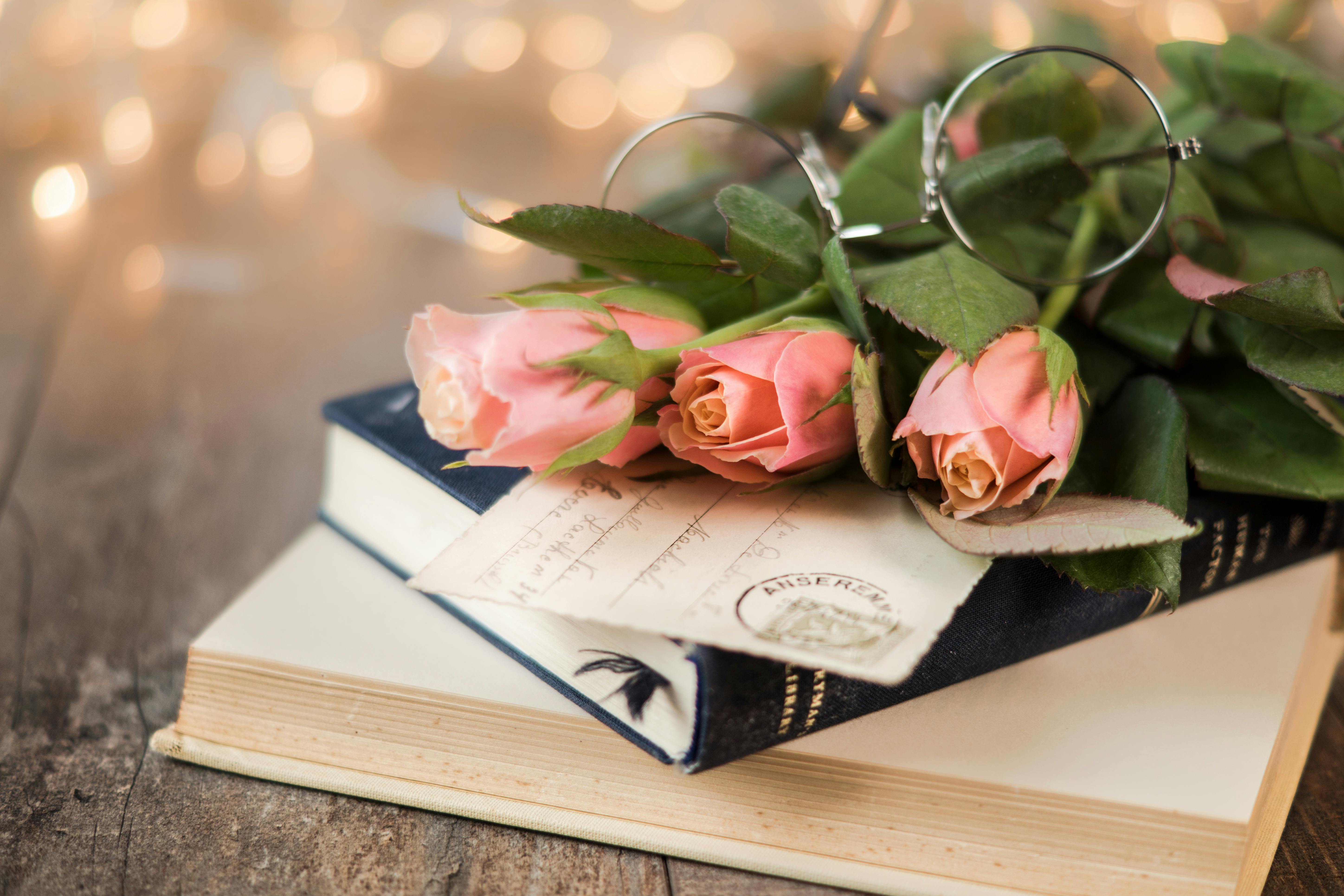 Pink Rose Flowers and Book · Free Stock Photo