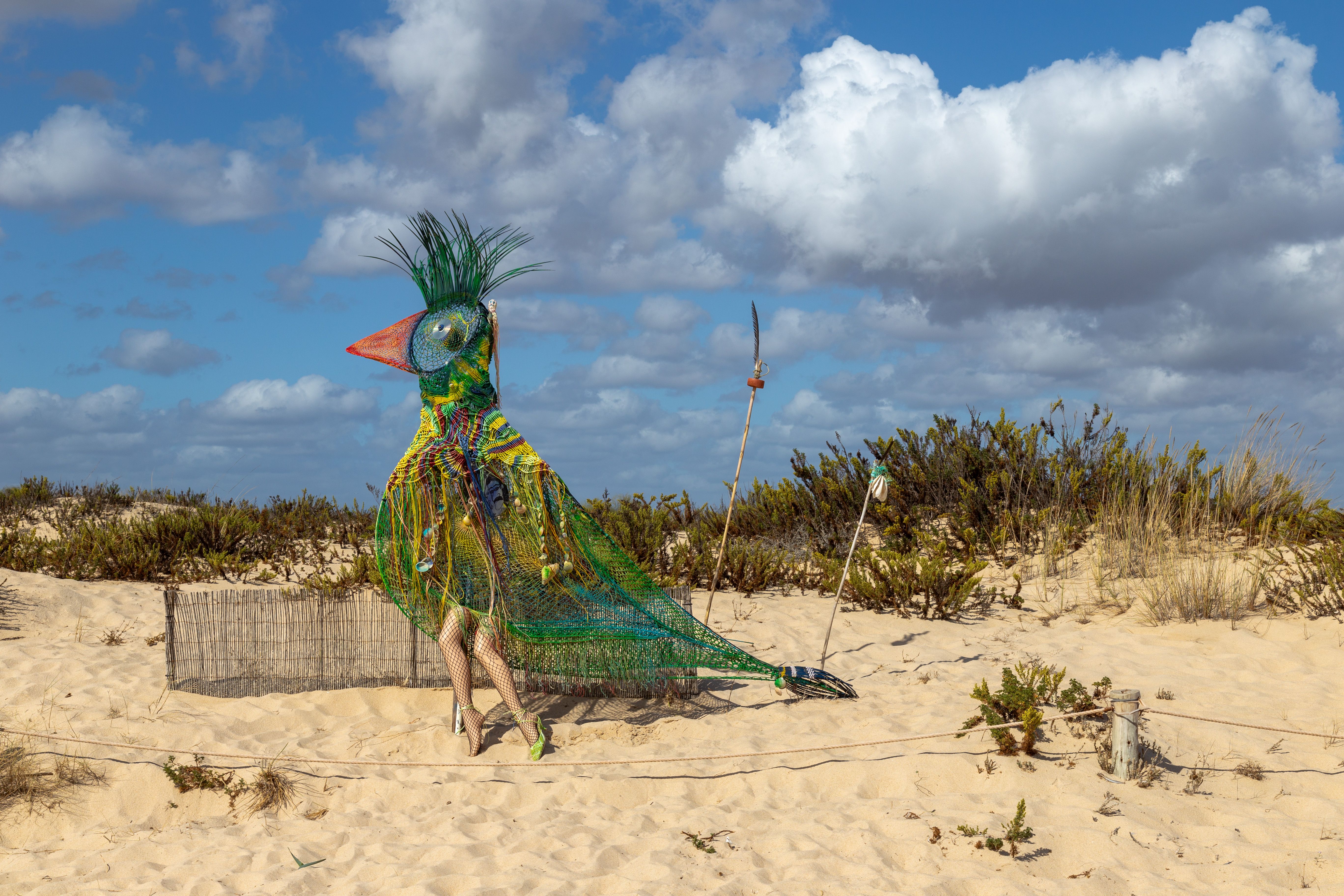 Peacock Figure as Decoration on Beach · Free Stock Photo