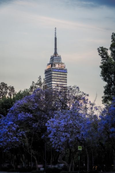 Spring Mexico Photos, Download The BEST Free Spring Mexico Stock Photos ...