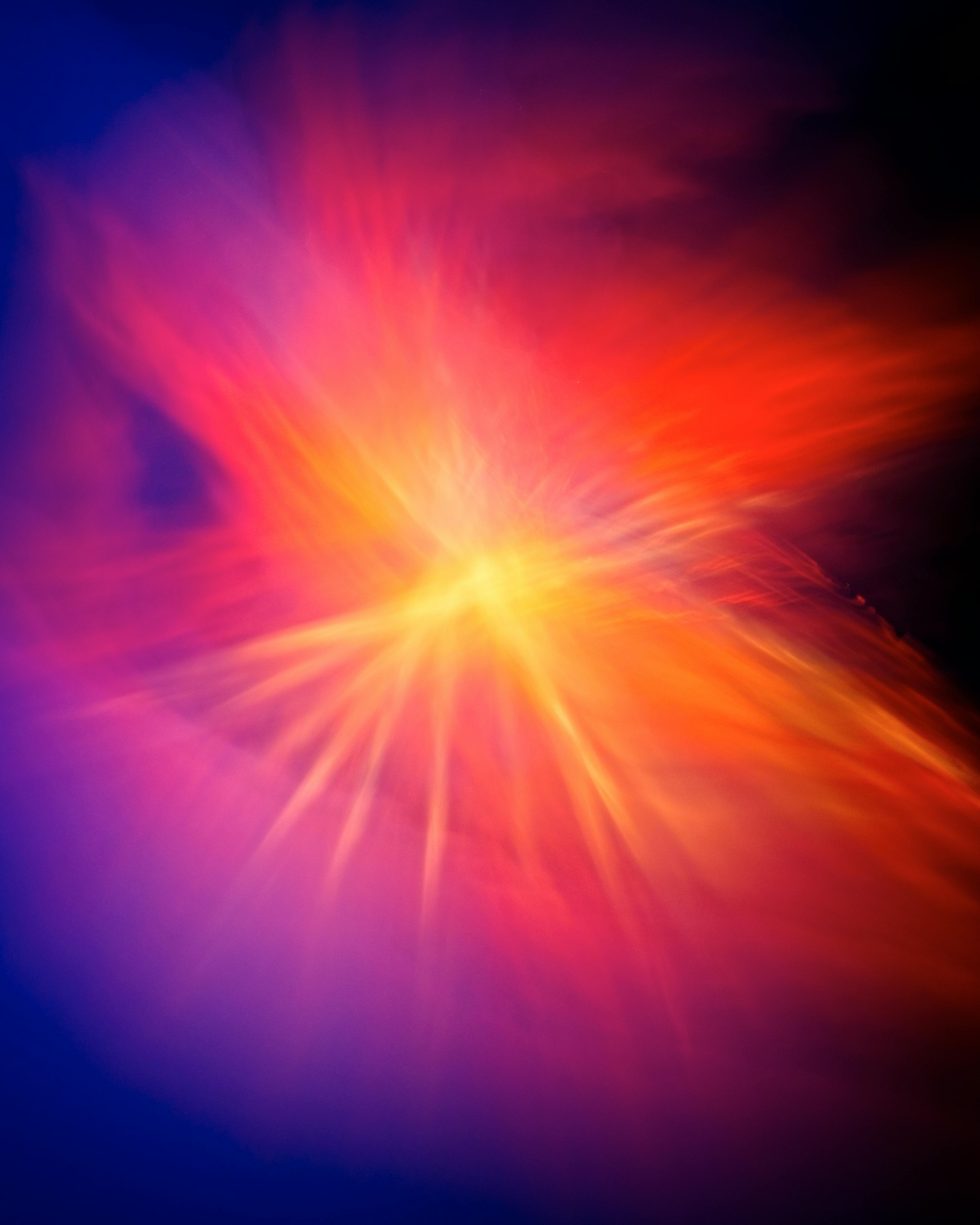 Life Force · Free Stock Photo