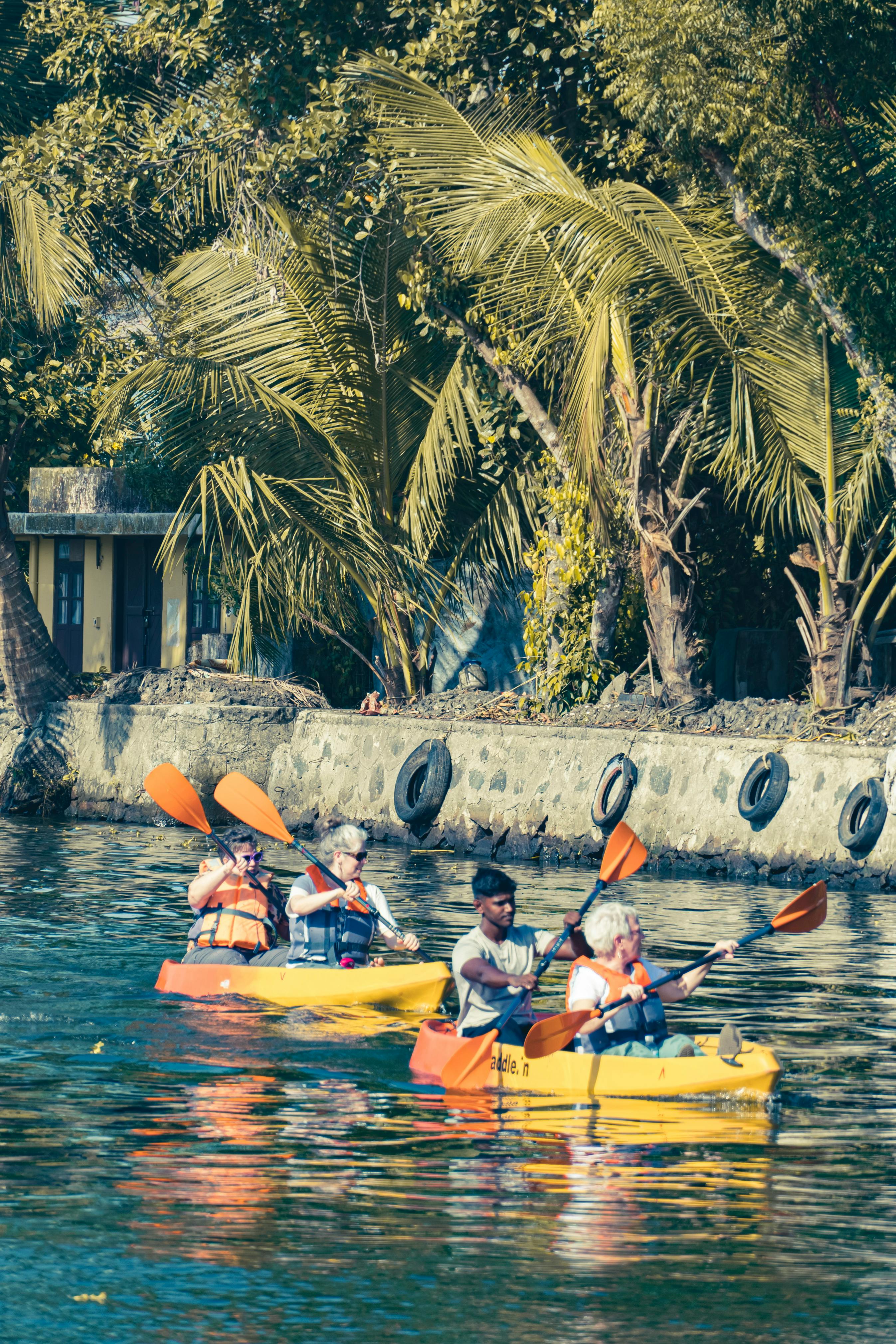 Tourists Kayaking in the River · Free Stock Photo
