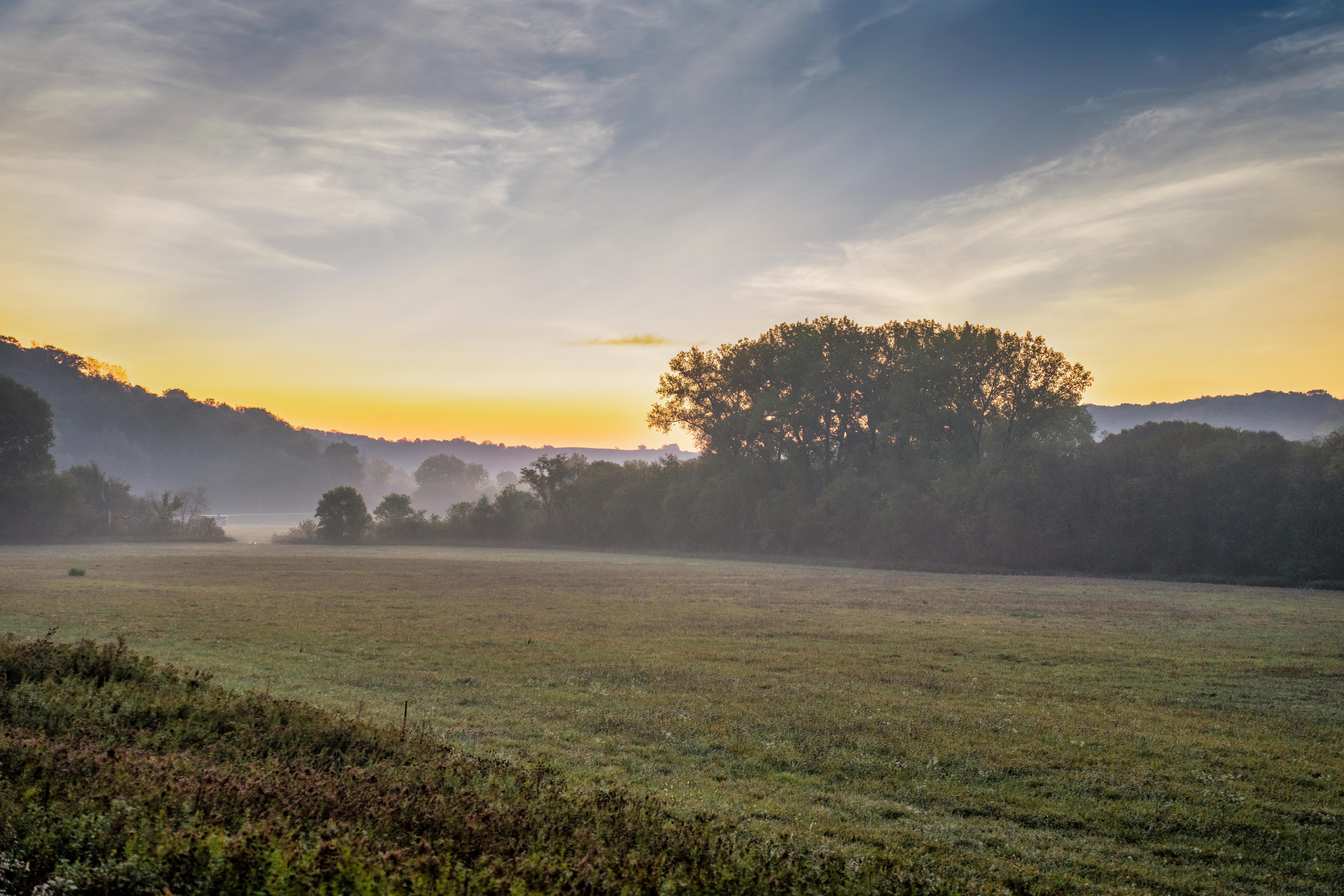 Hazy Landscape with Meadow and Forest at Dusk · Free Stock Photo