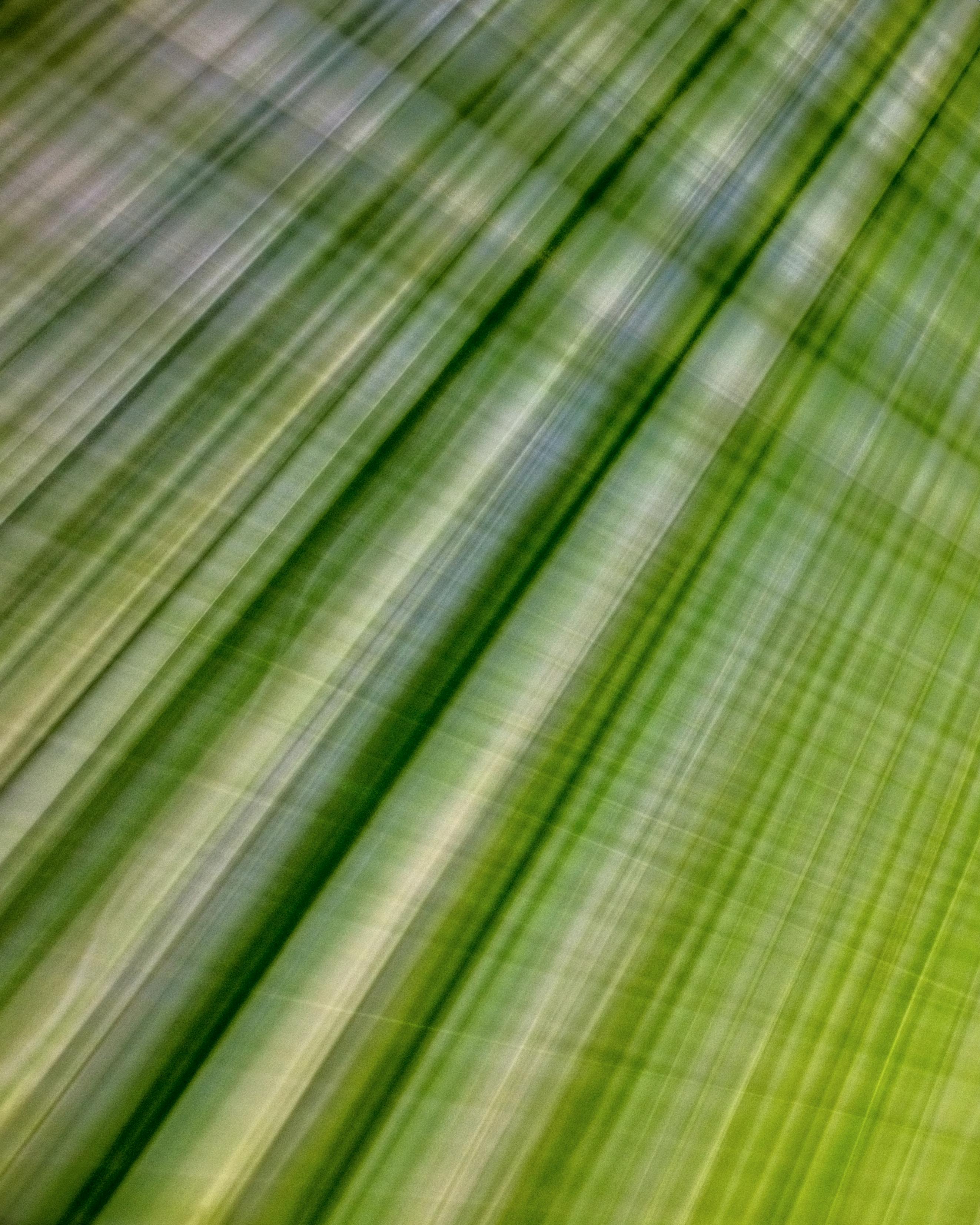 Backgrounds Graphics Photos, Download The BEST Free Backgrounds ...