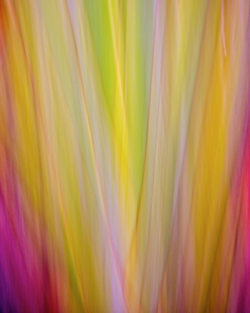 Multi Color Background Photos, Download The BEST Free Multi Color ...