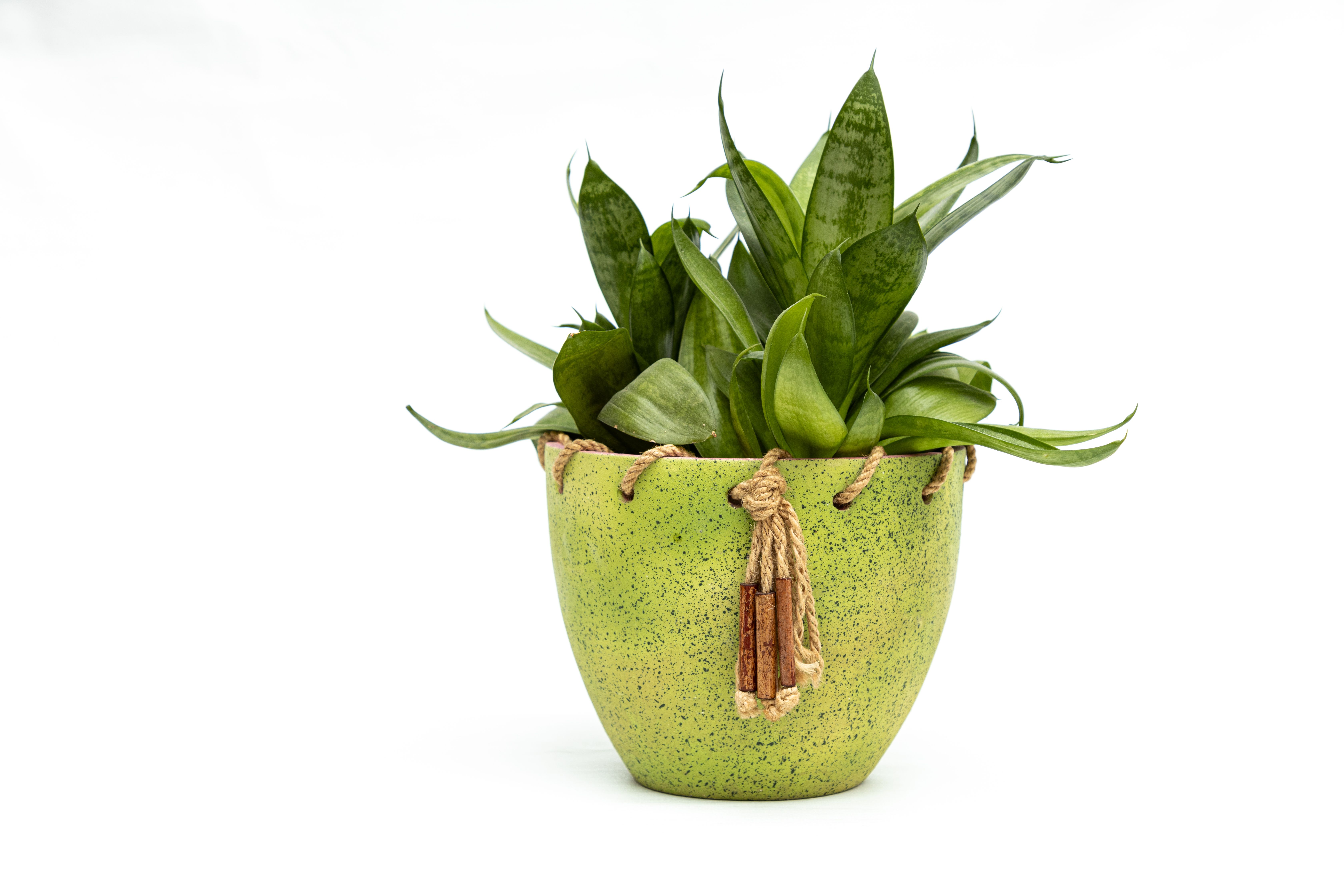 Arab Pot Photos, Download The BEST Free Arab Pot Stock Photos & HD Images