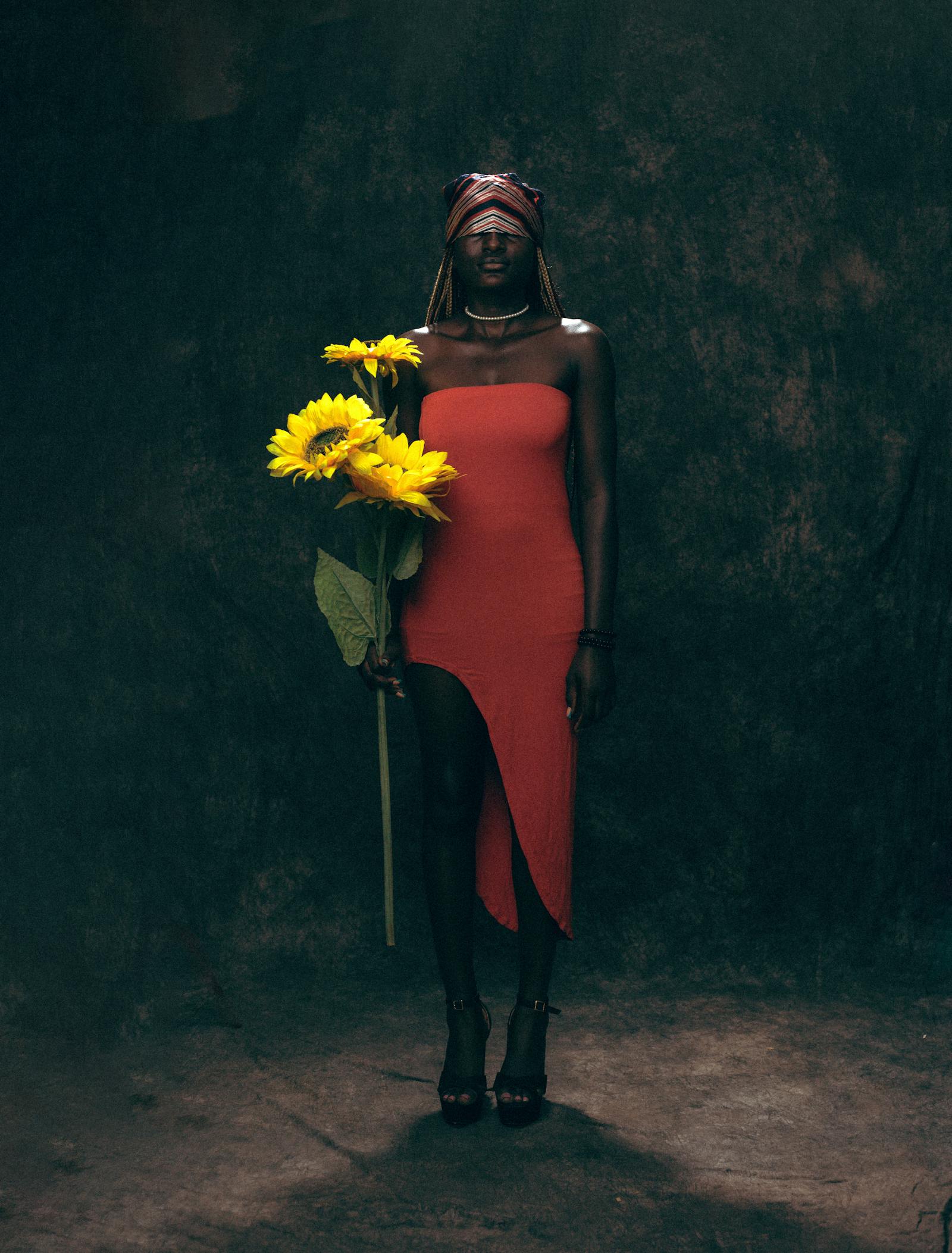 High Resolution Flowers Photos, Download The BEST Free High Resolution ...