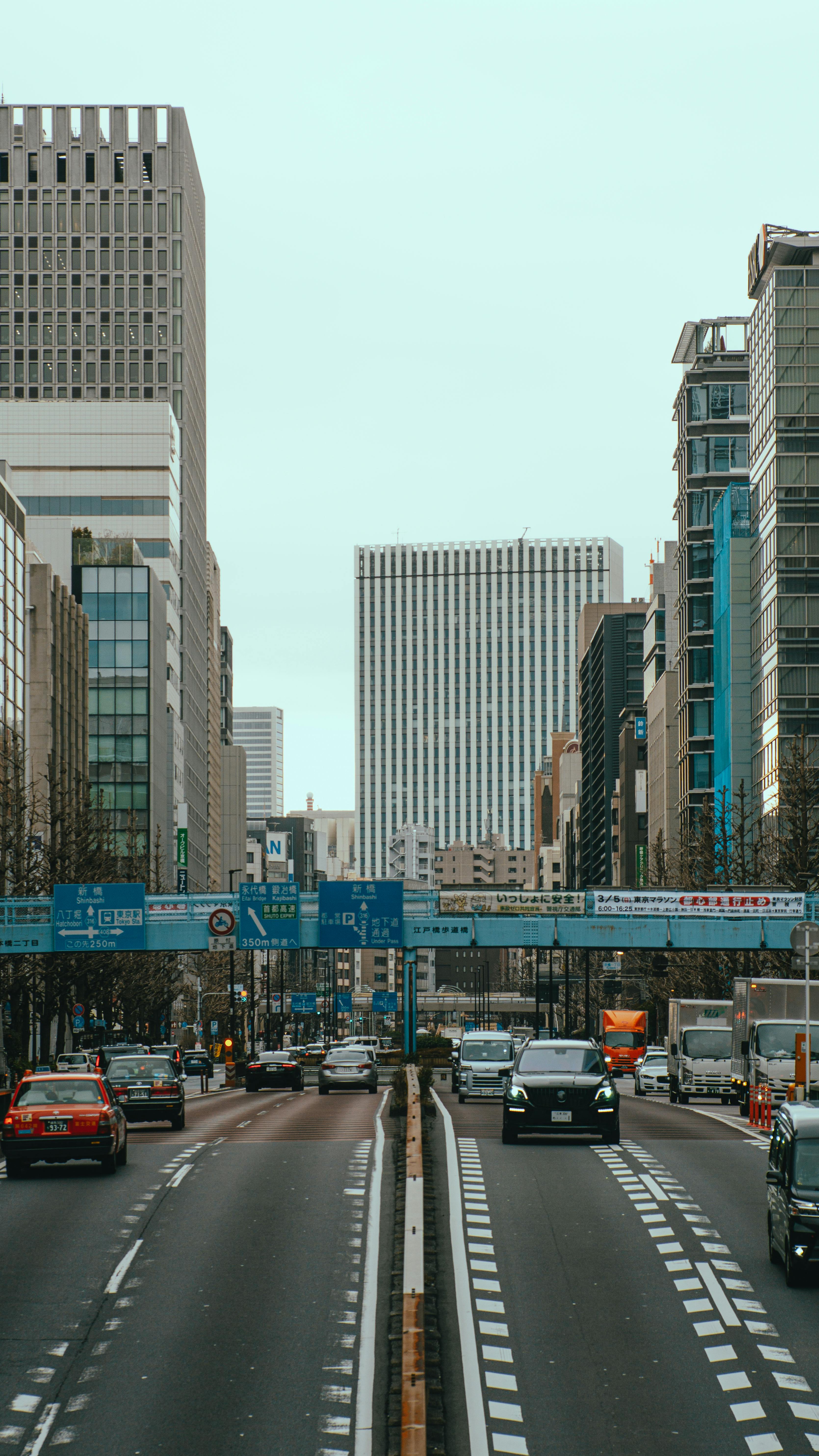 Crowded Street in Tokyo at Night · Free Stock Photo