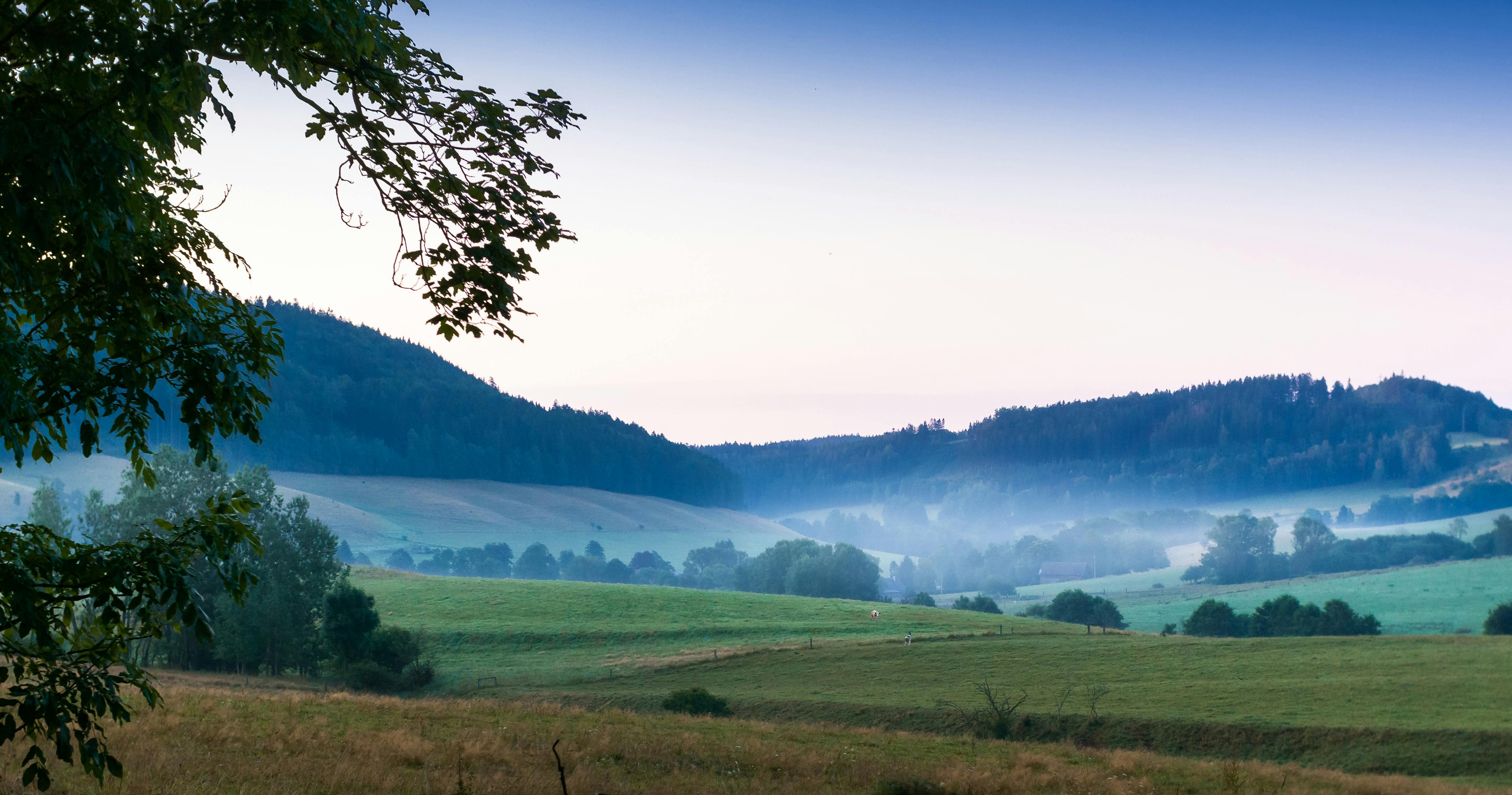 Foto de stock gratuita sobre aire fresco, al aire libre, amanecer ...