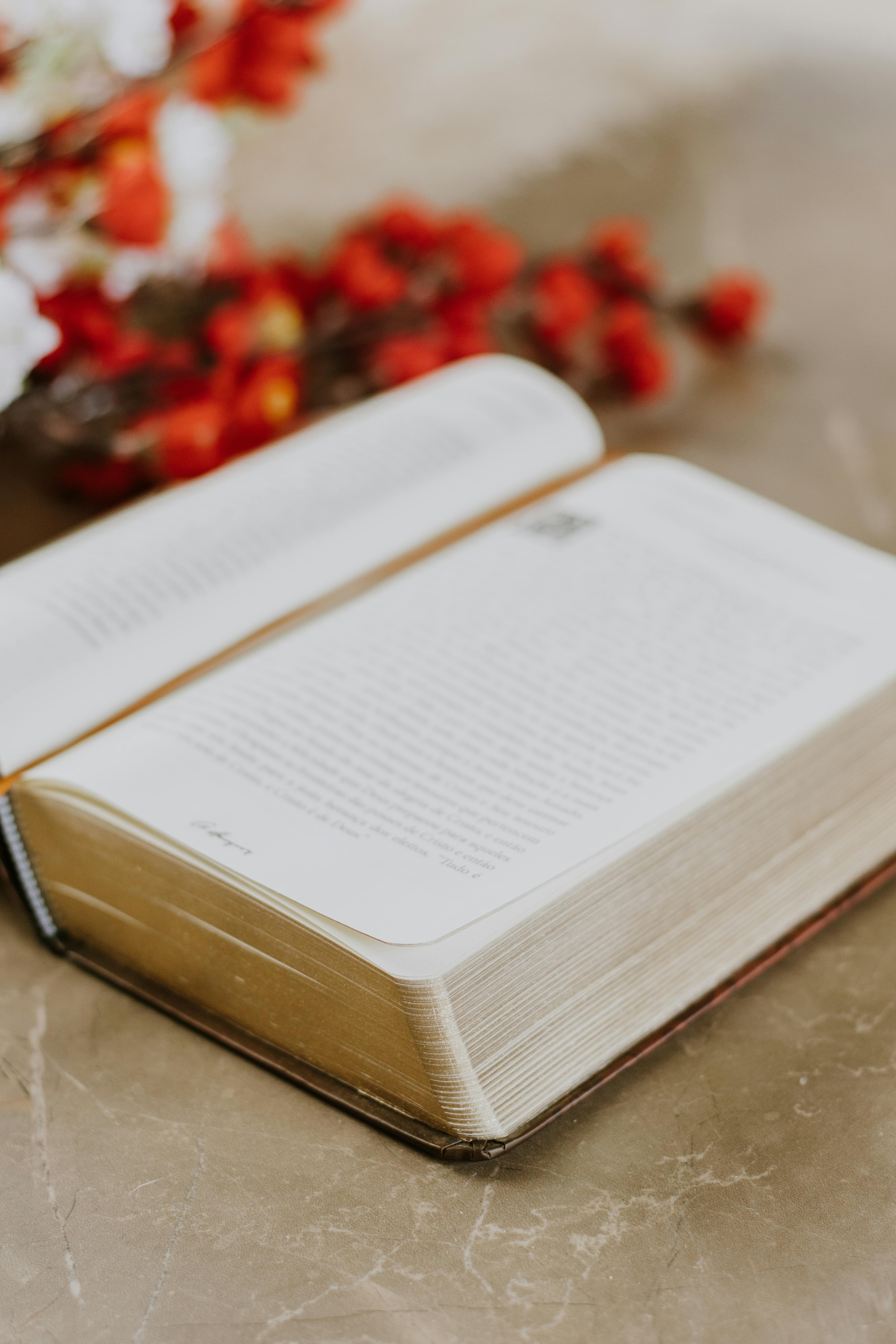 Pages of an Open Book · Free Stock Photo