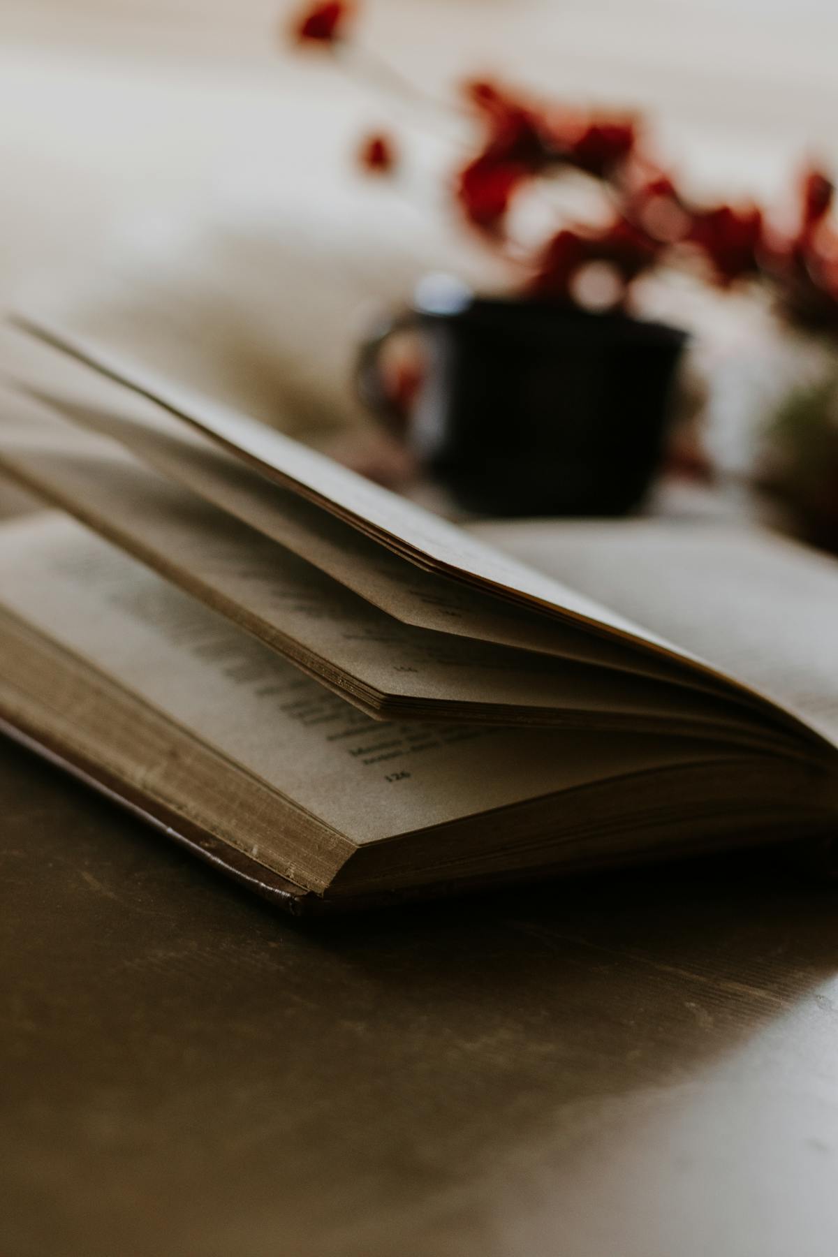 Open Source Photos, Download The BEST Free Open Source Stock Photos ...