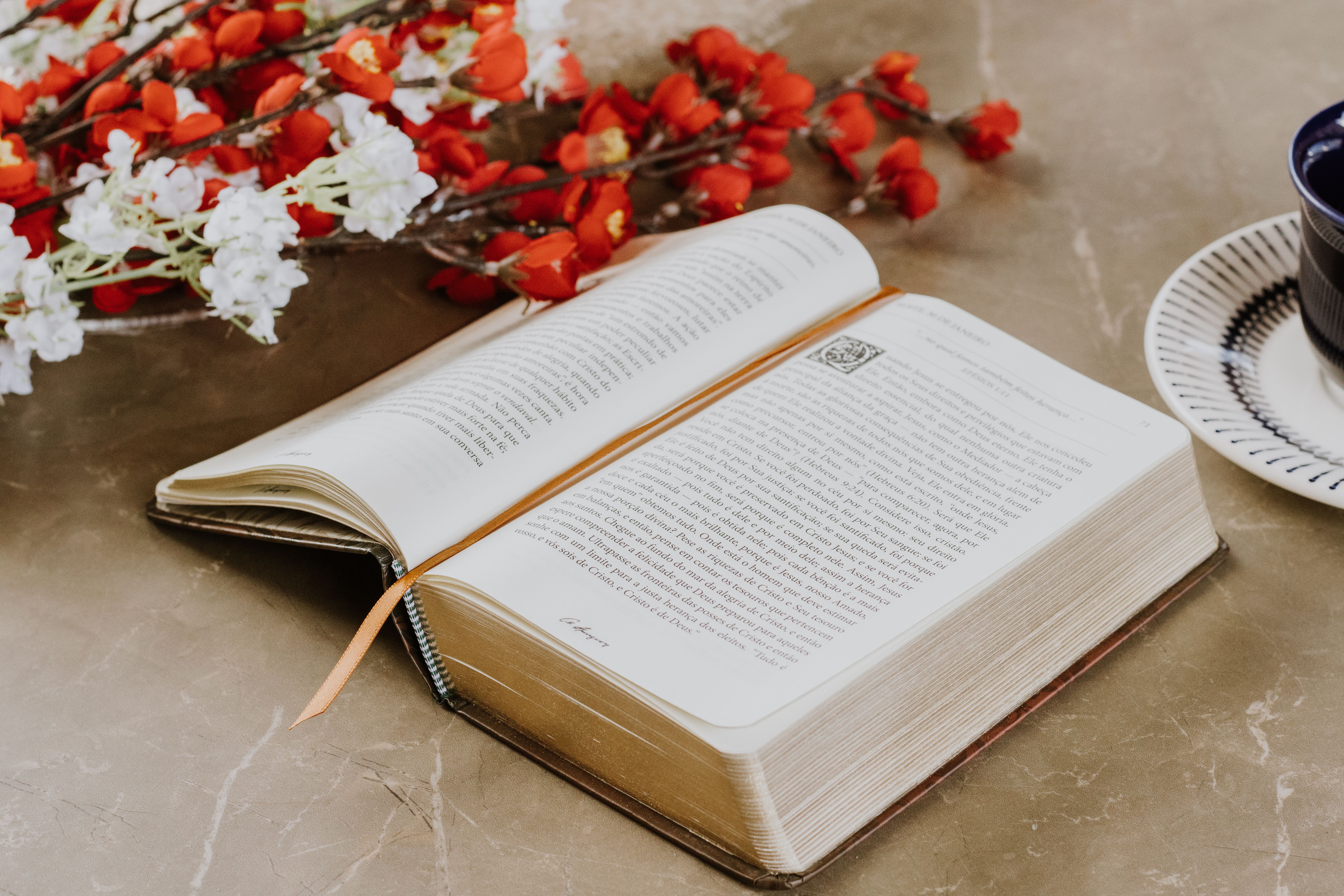 Book Opened on Top of White Table Beside Closed Red Book and Round Blue ...