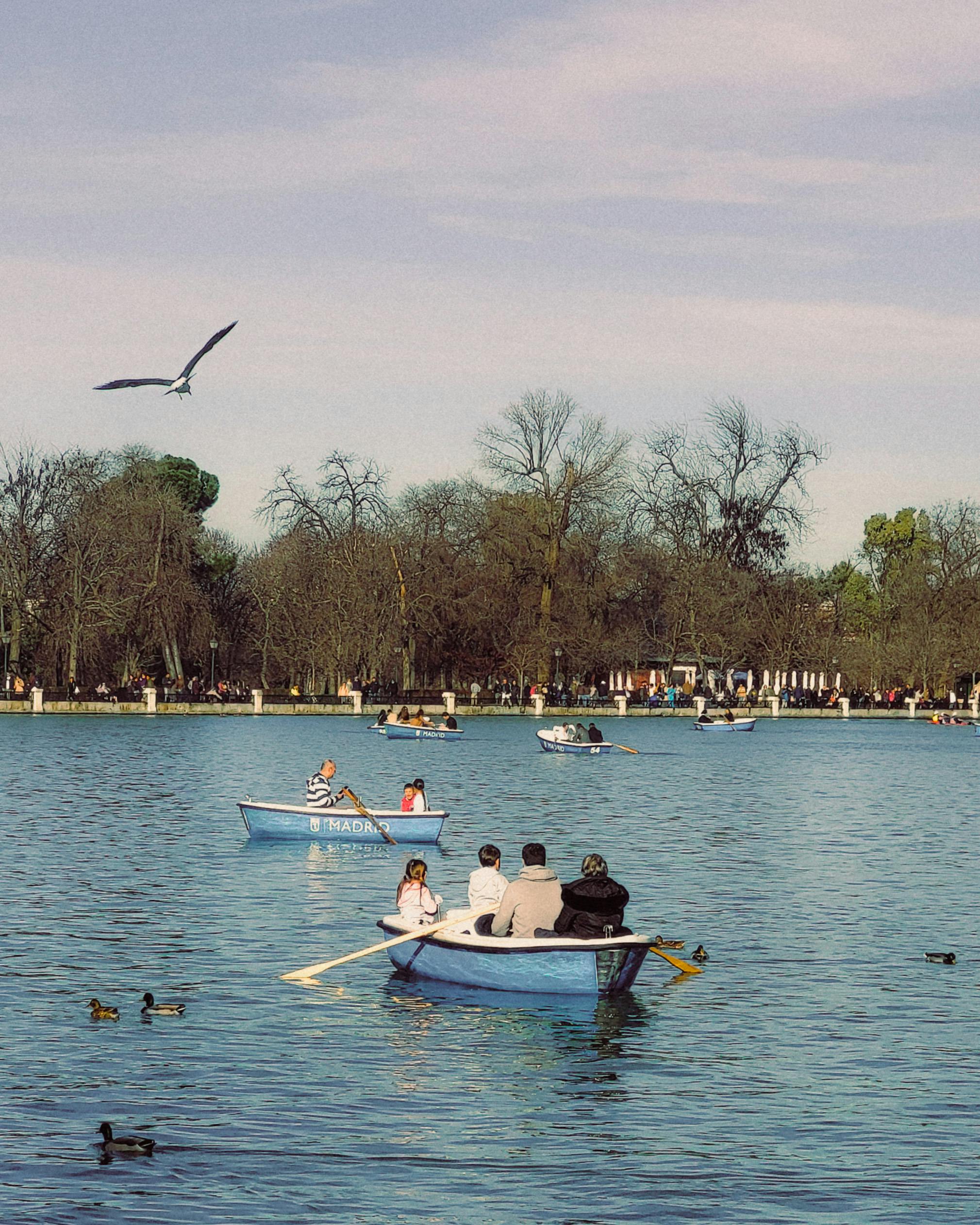 People on Boats on Lake at Retiro Park in Madrid · Free Stock Photo