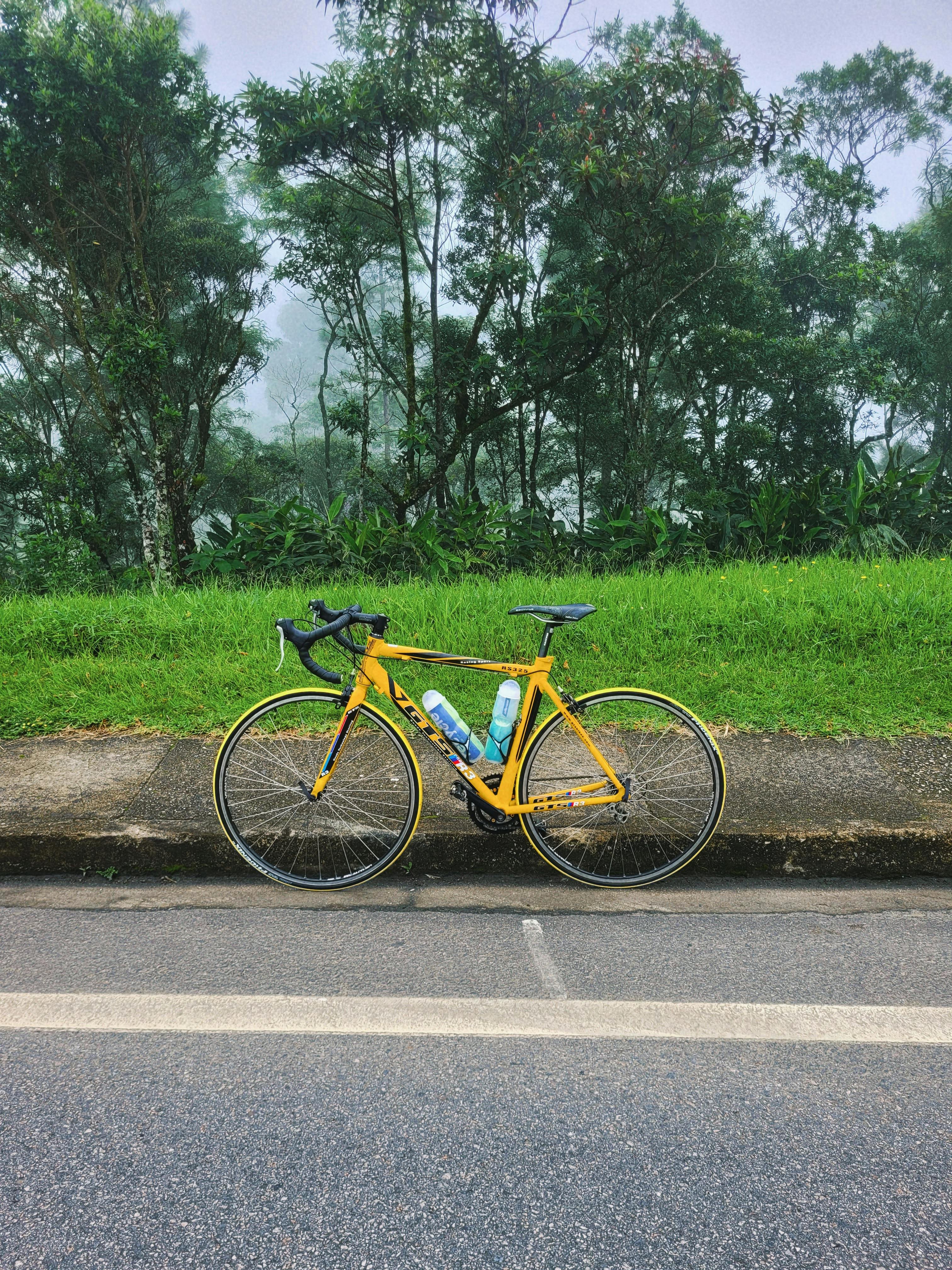 Curb Mosc Photos, Download The BEST Free Curb Mosc Stock Photos & HD Images