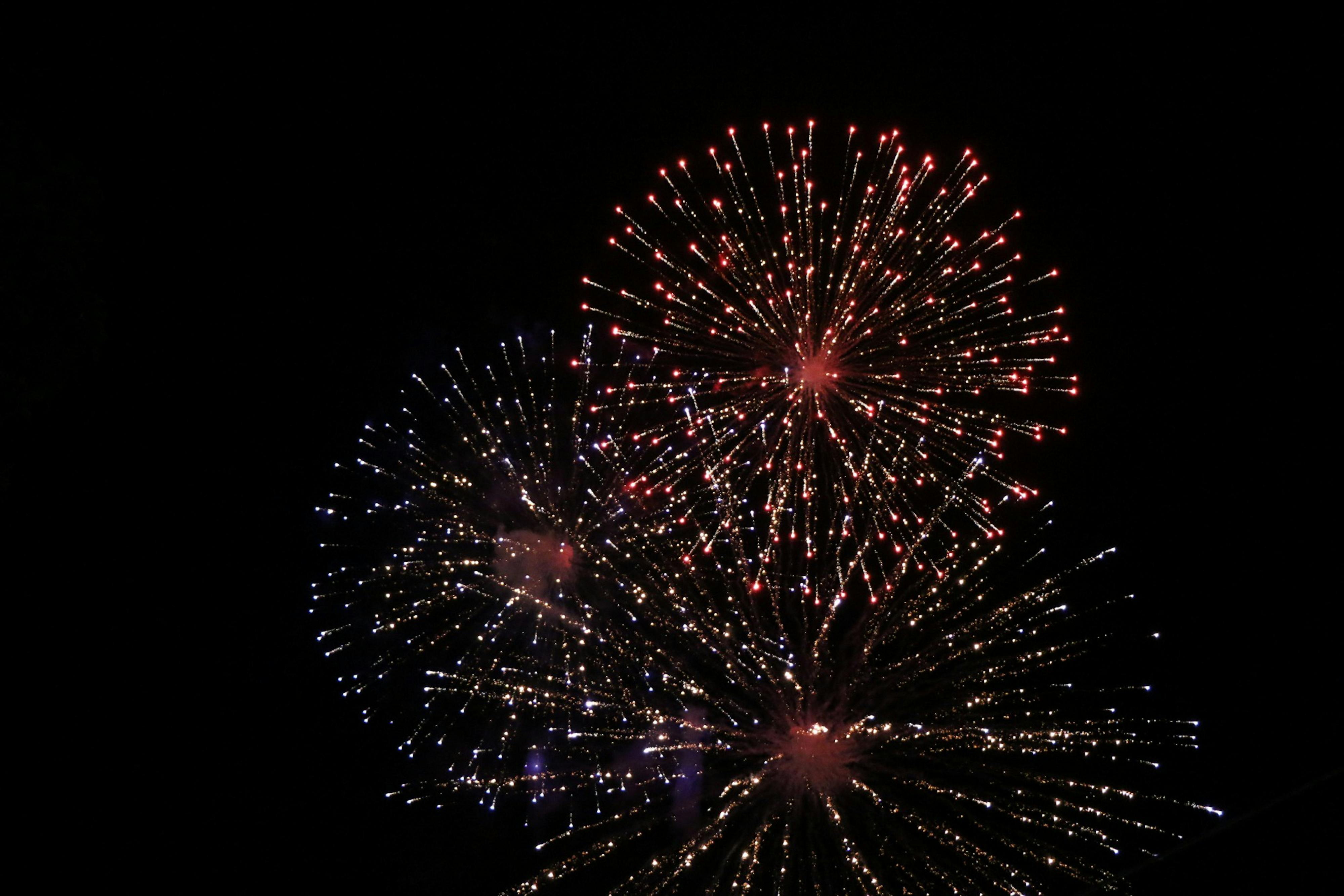 Fireworks Display · Free Stock Photo