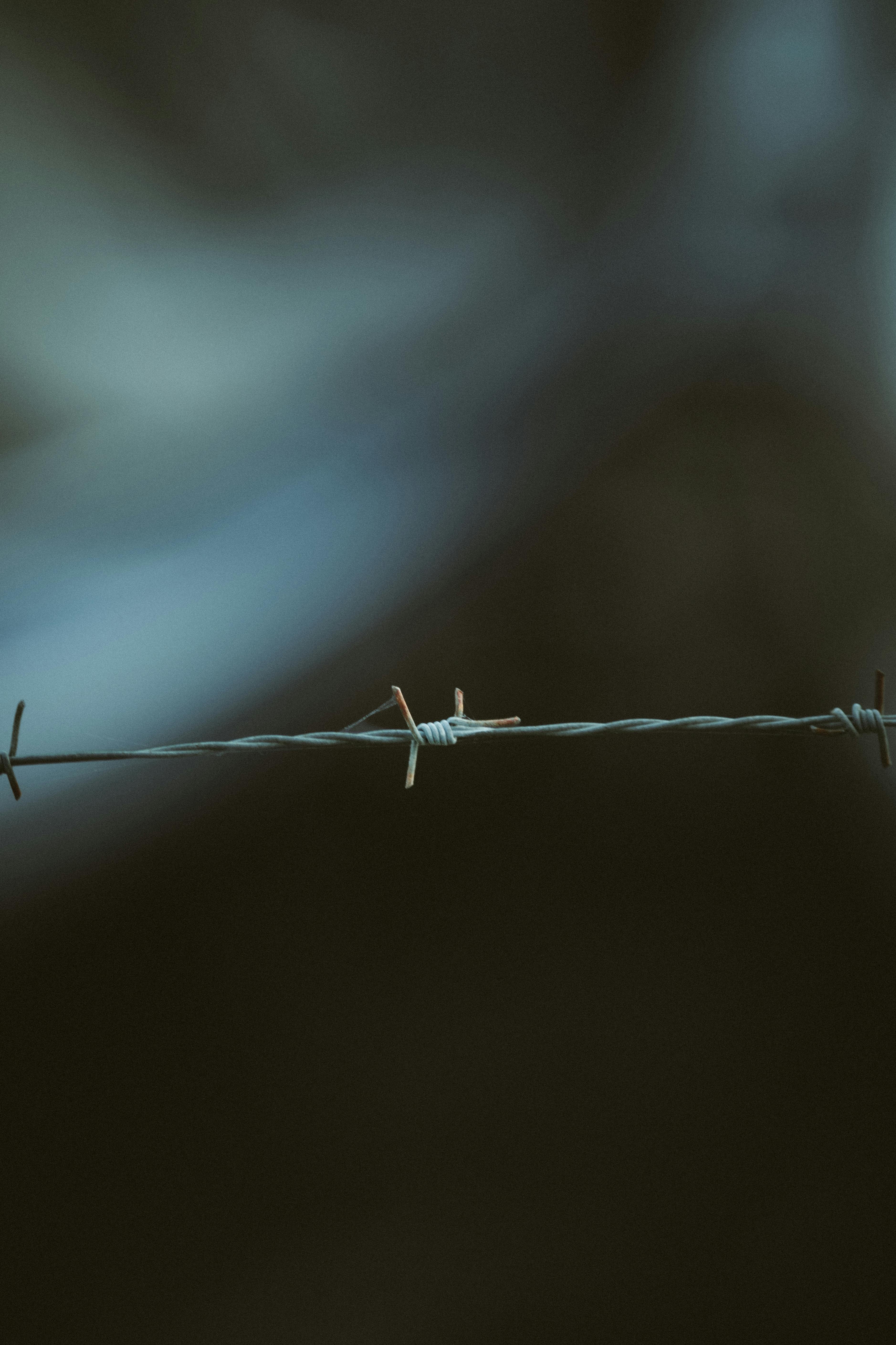 Hand on Barbed Wire · Free Stock Photo