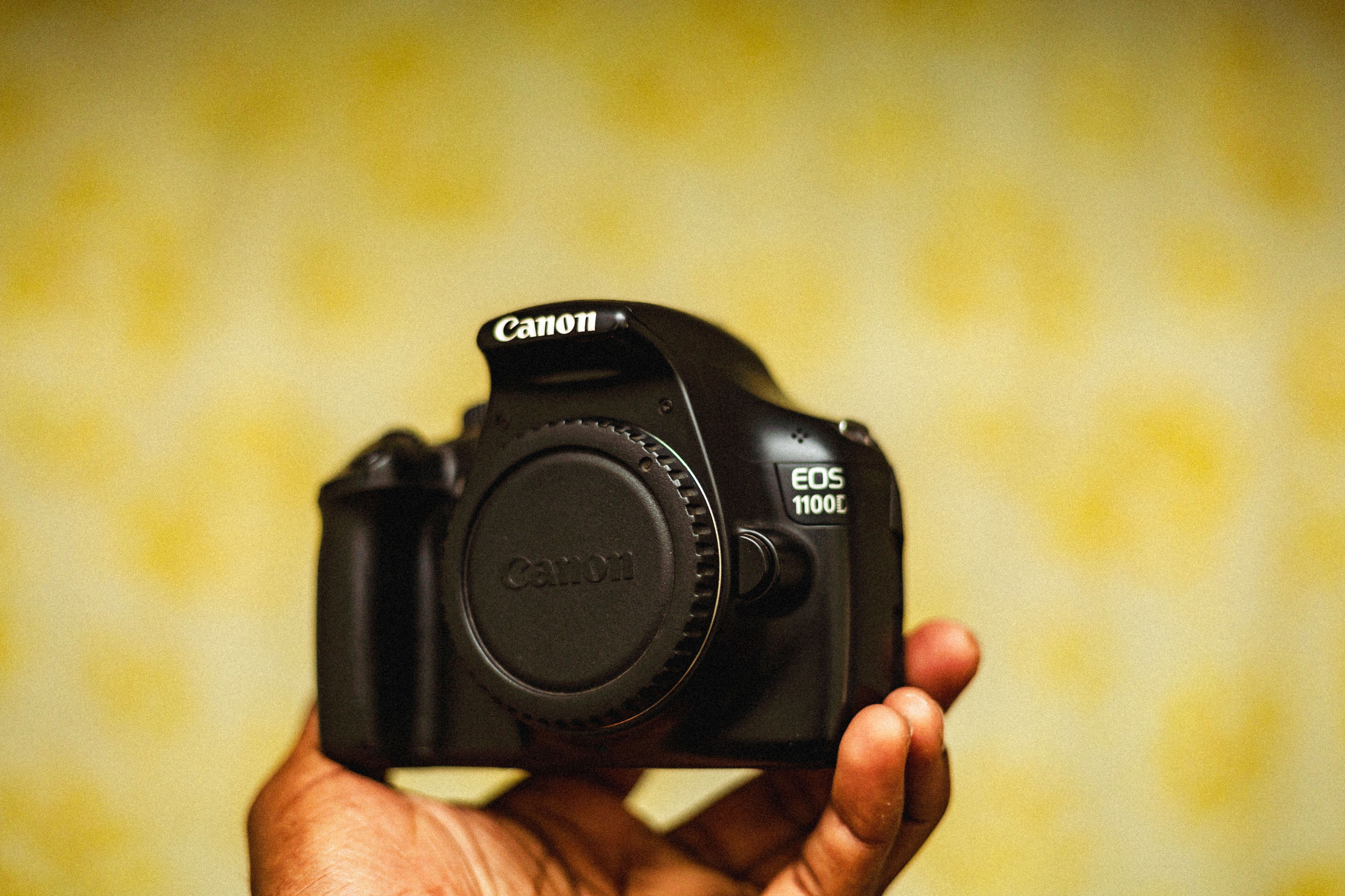 Person Holding Camera on Yellow Background · Free Stock Photo