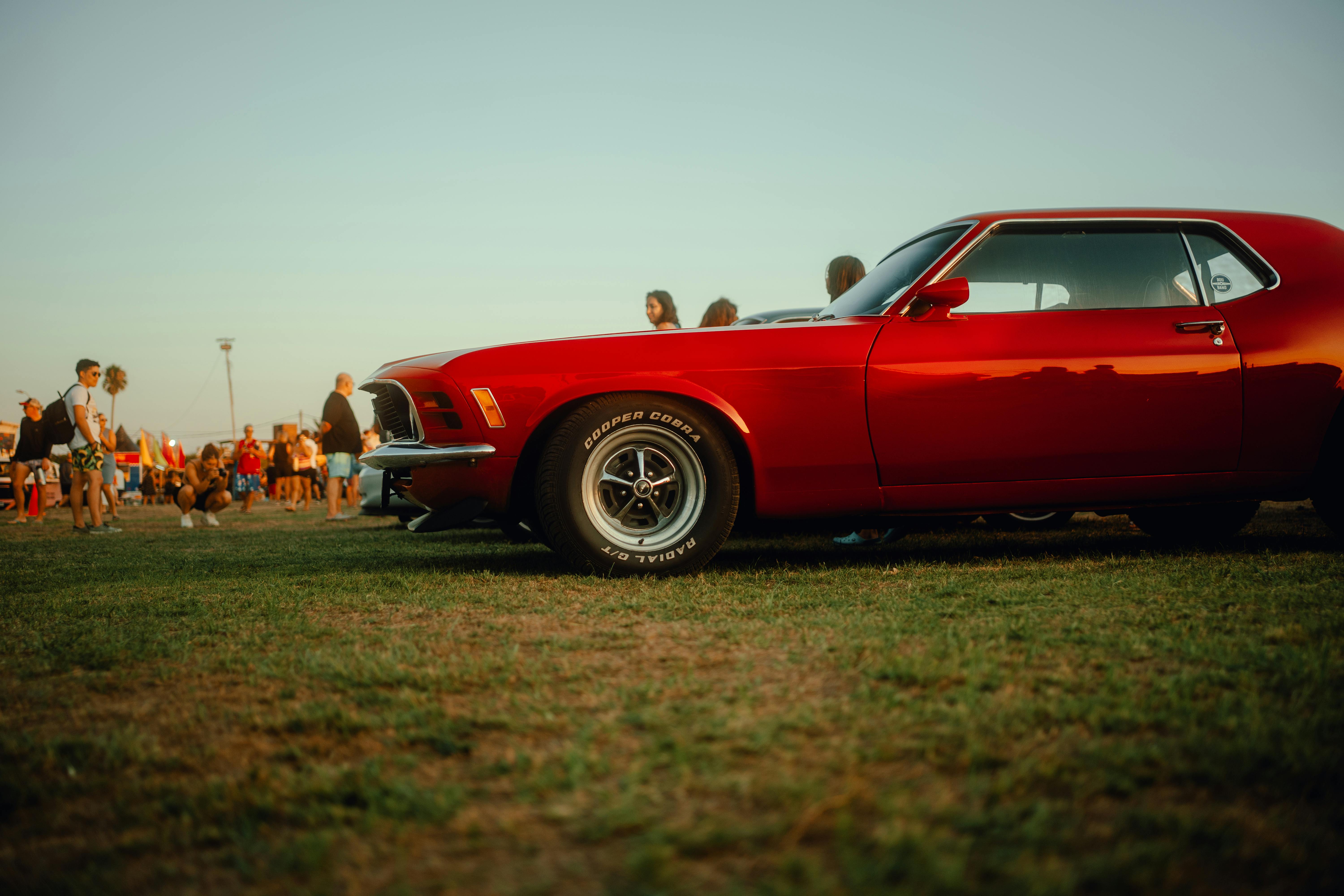 Mustangs Photos, Download The BEST Free Mustangs Stock Photos & HD Images