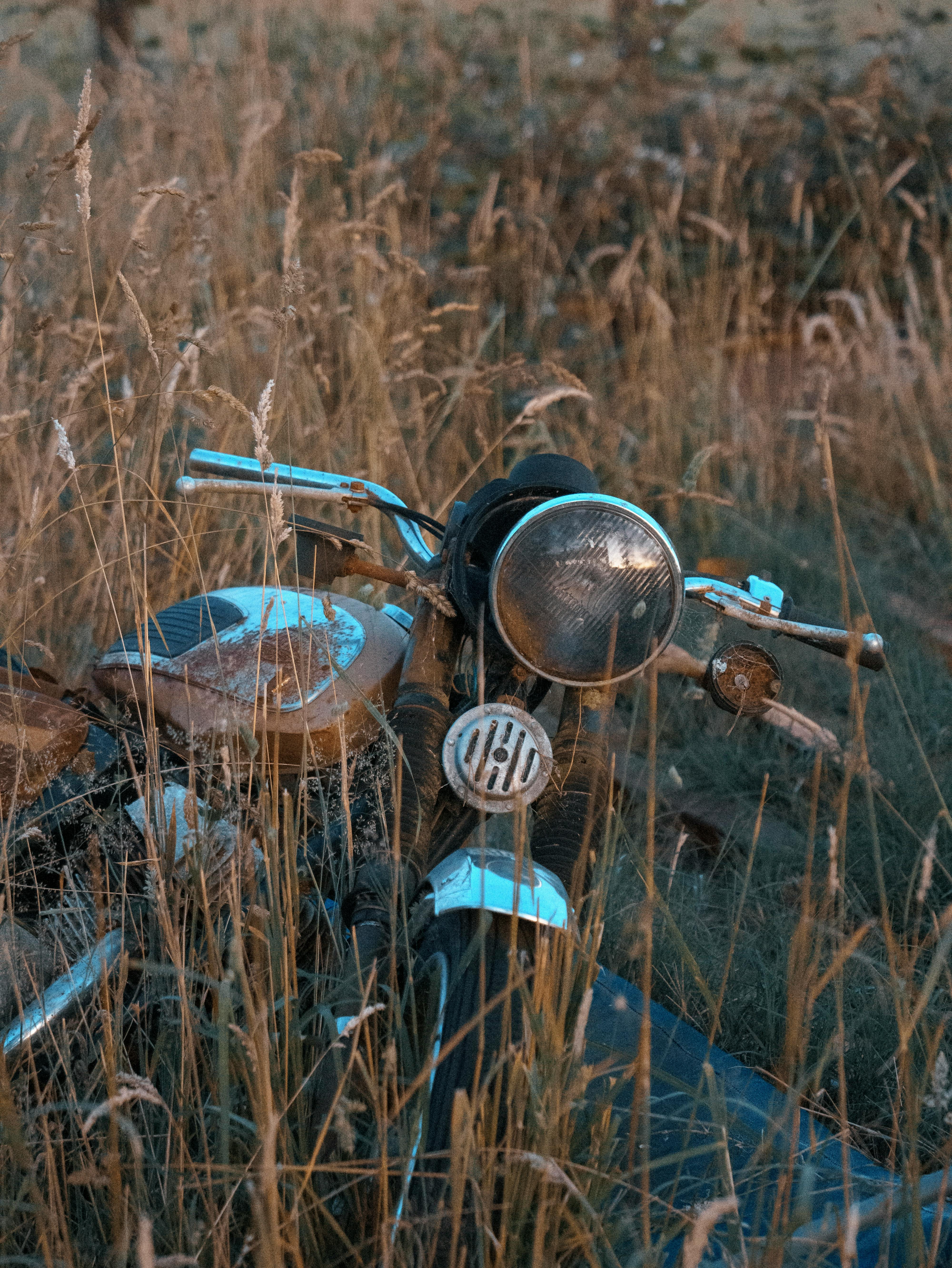 A motorcycle is parked in a field of tall grass · Free Stock Photo