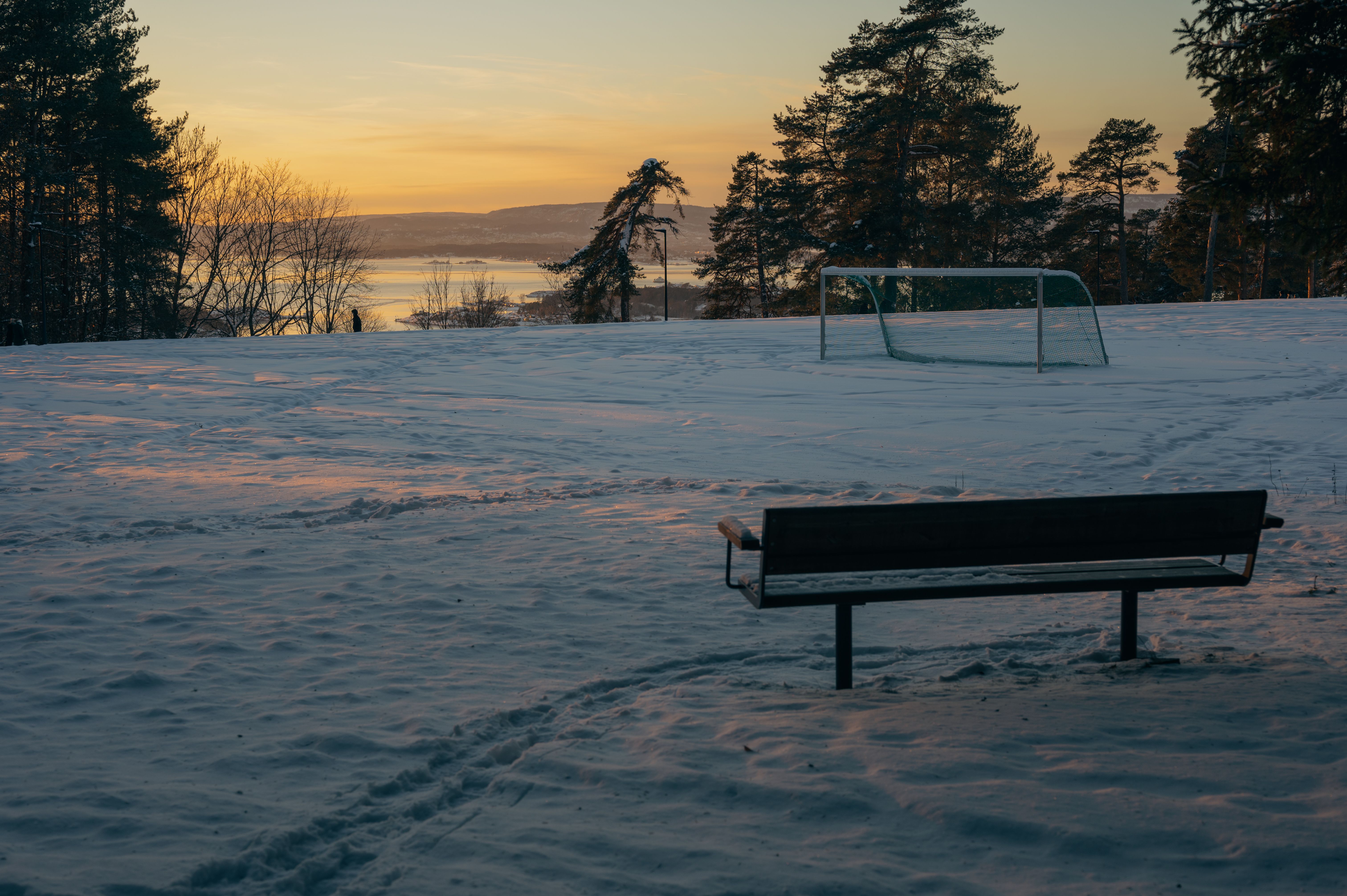 An Empty Bench on a Snowy Field near a Body of Water in Winter · Free ...