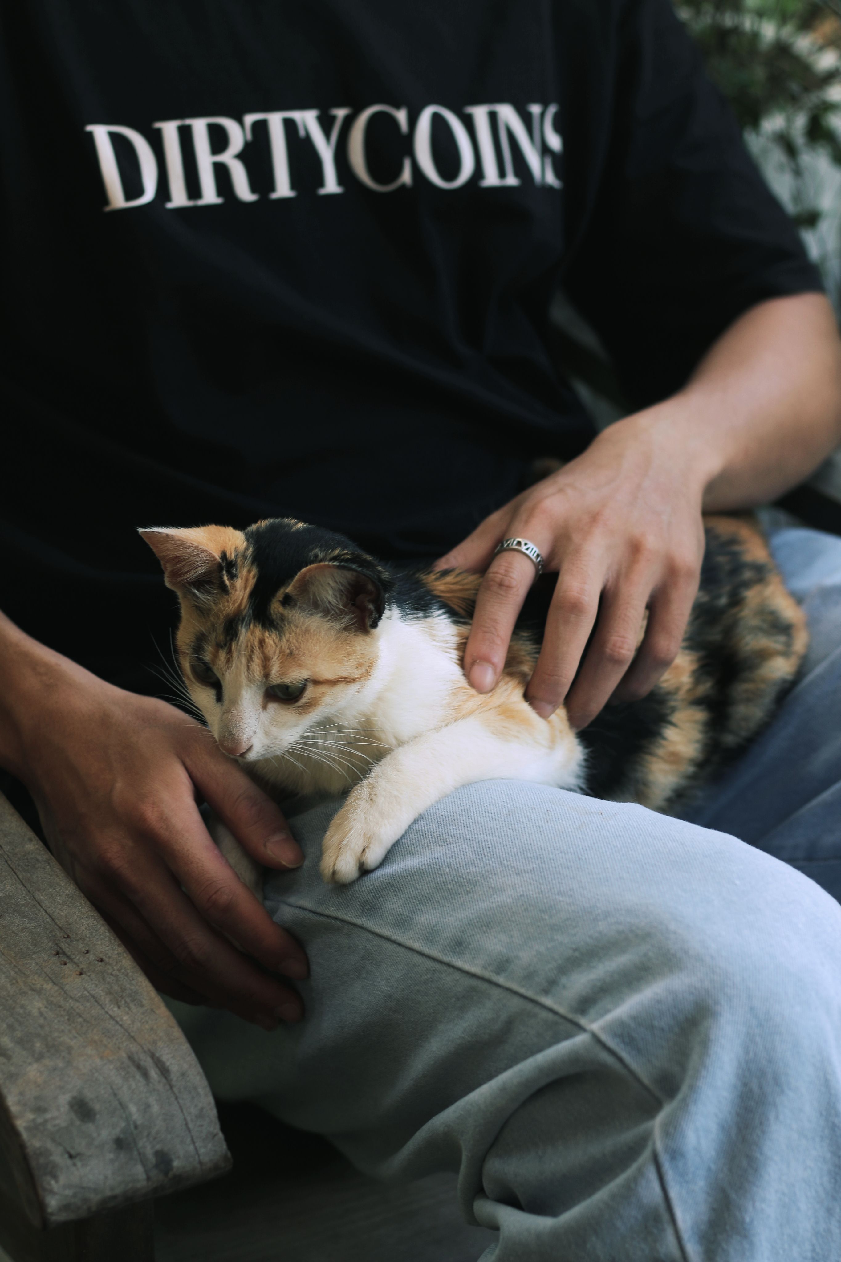 A Person Sitting with a Cat · Free Stock Photo