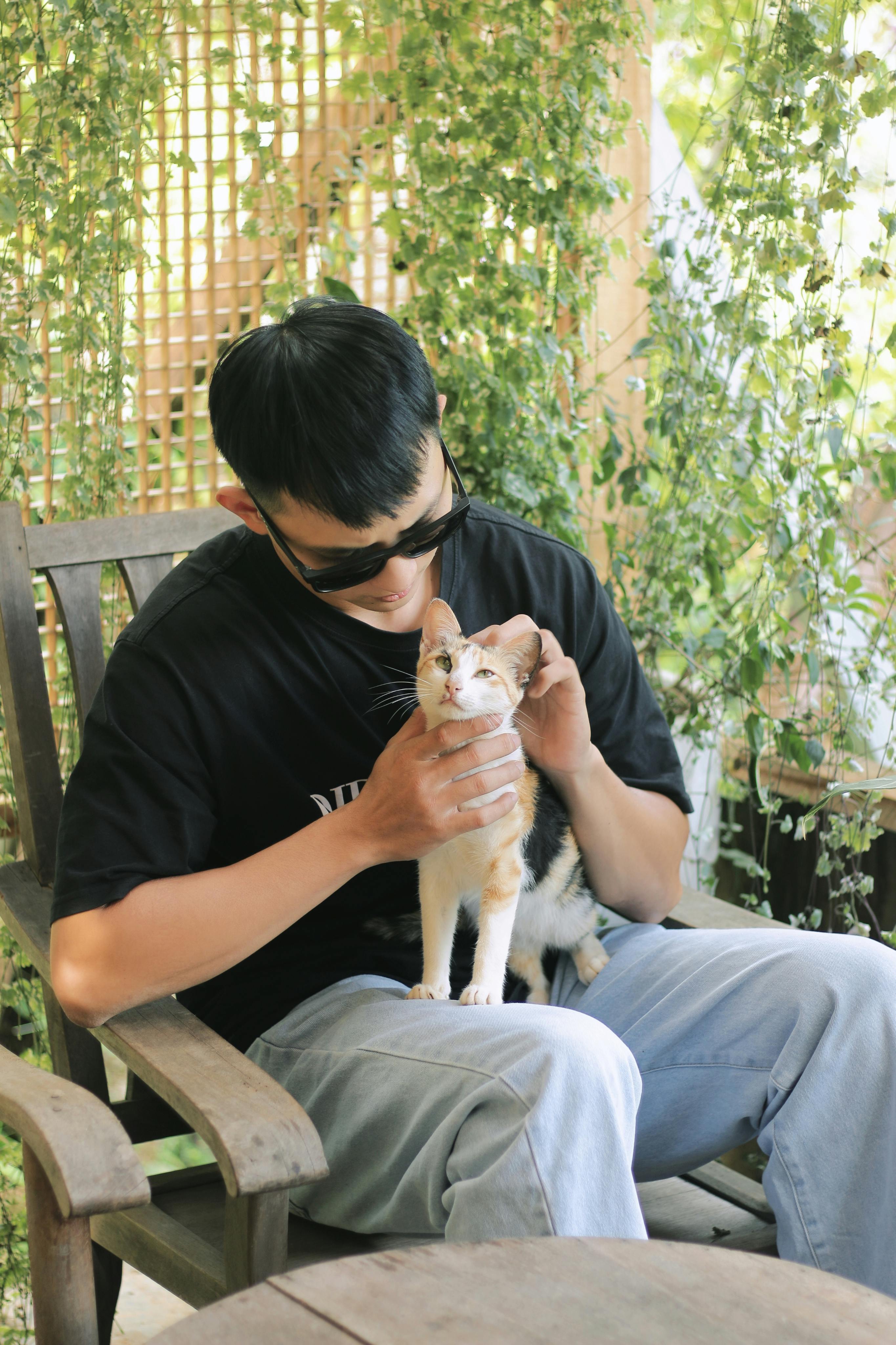 Man Sitting and Patting Cat · Free Stock Photo