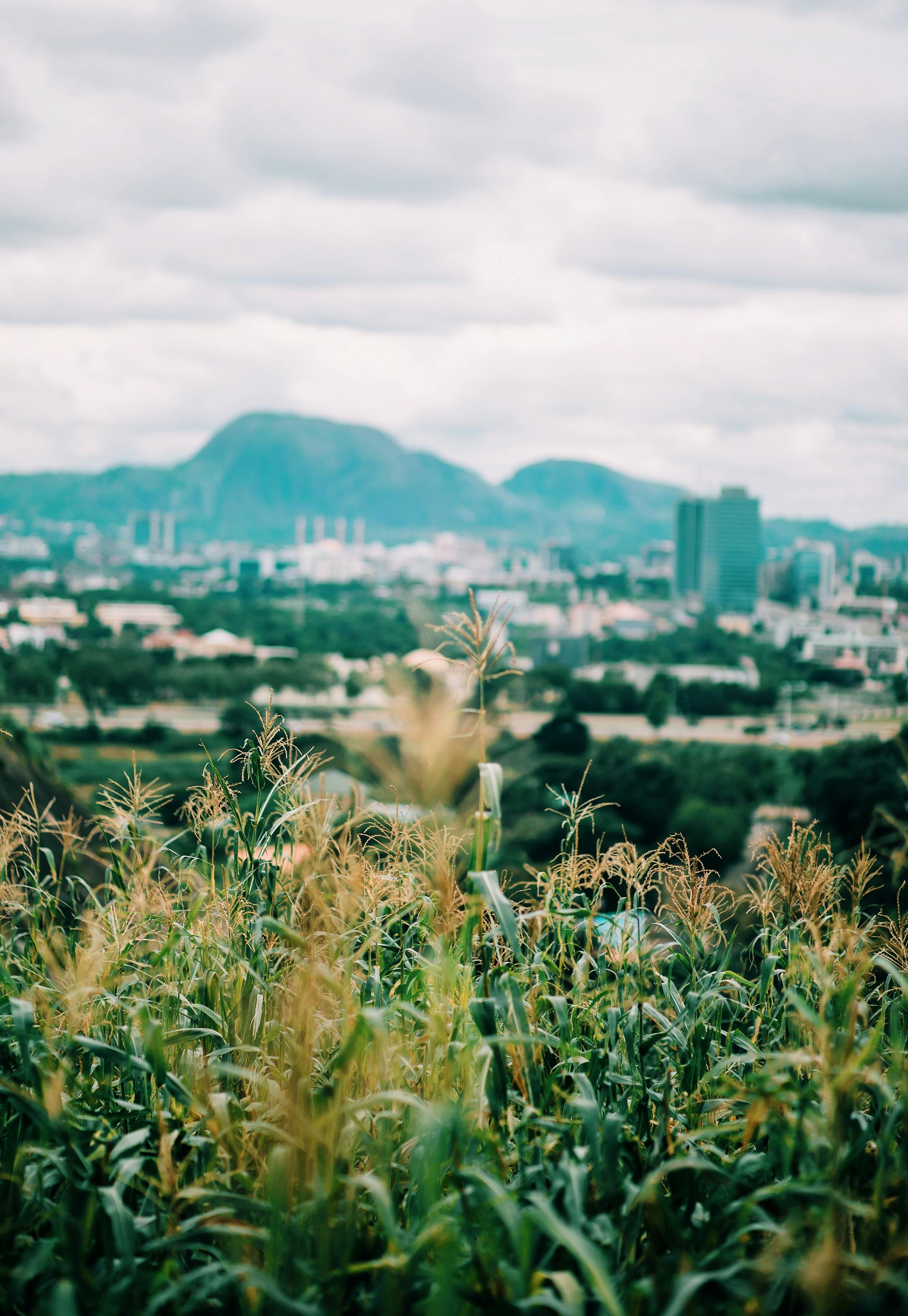 Ameer Umar - Fotografía