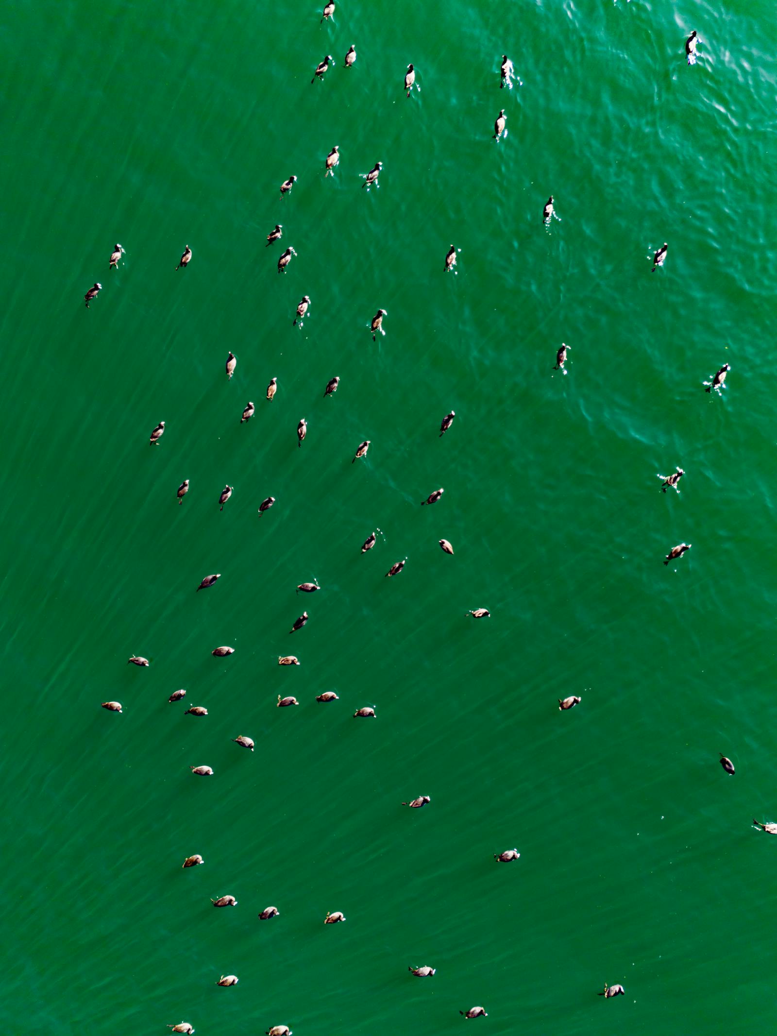 Floating People Photos, Download The BEST Free Floating People Stock ...