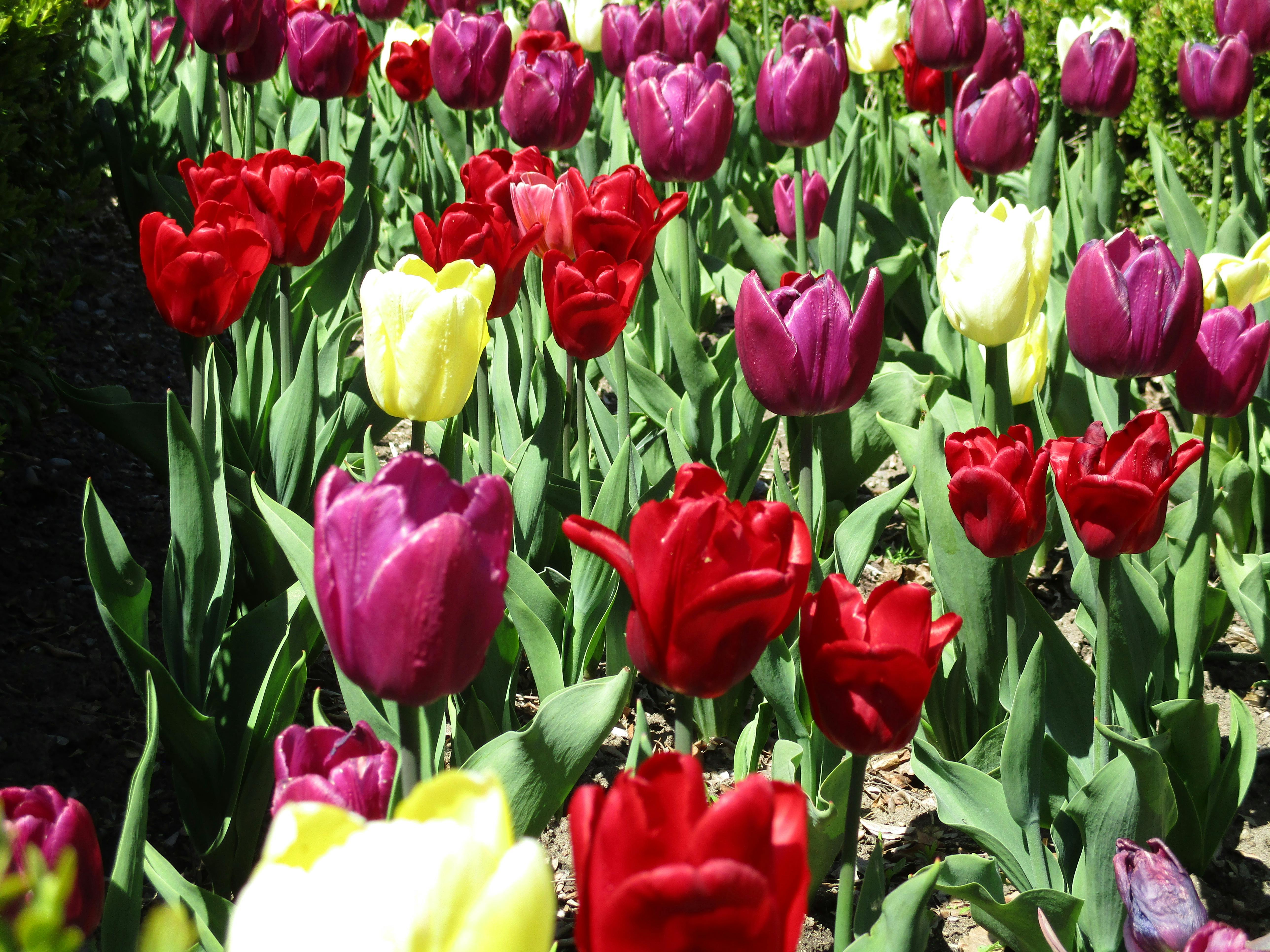 alex ohan - Photography