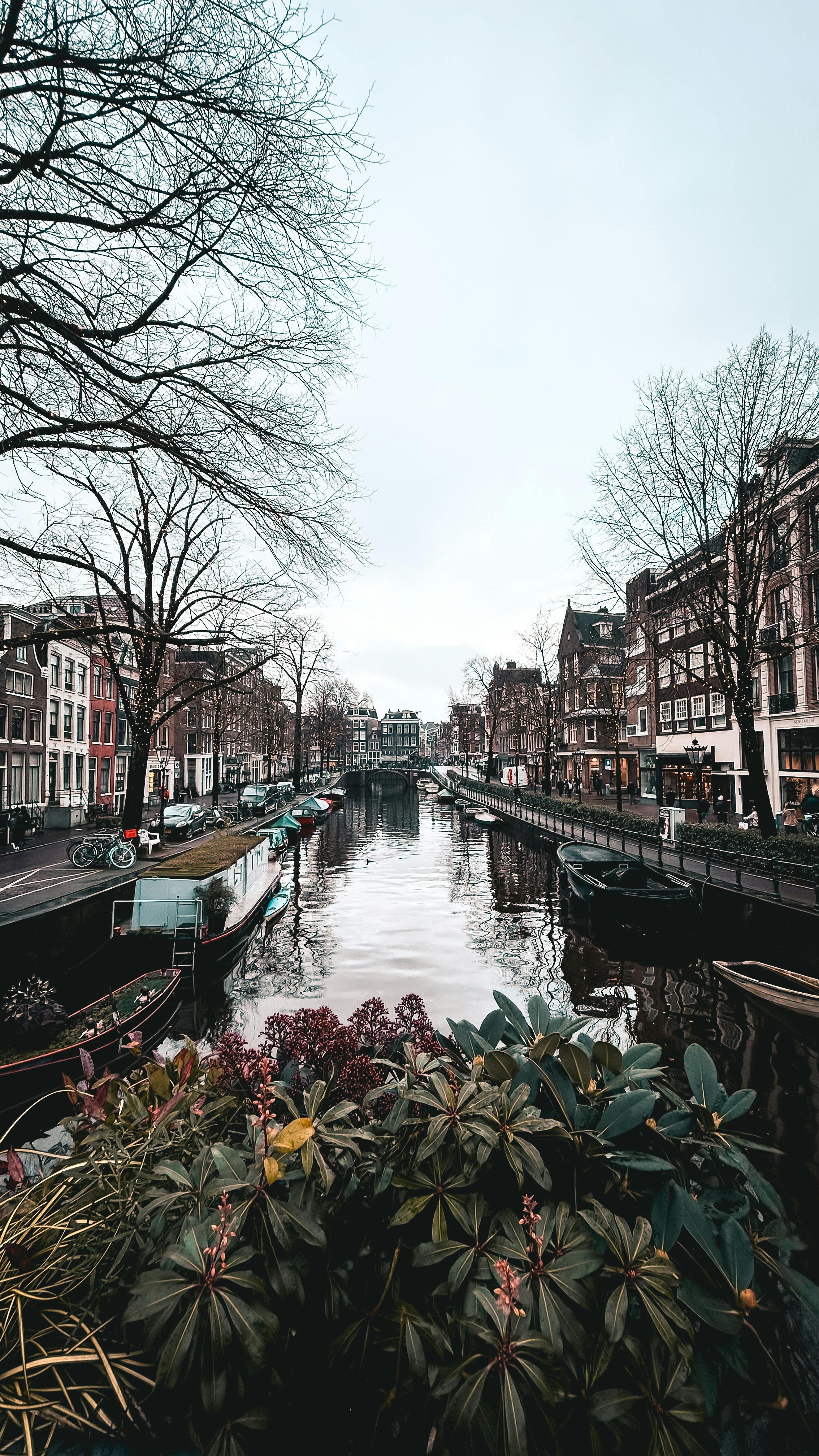 Nice House Photos, Download The BEST Free Nice House Stock Photos & HD ...