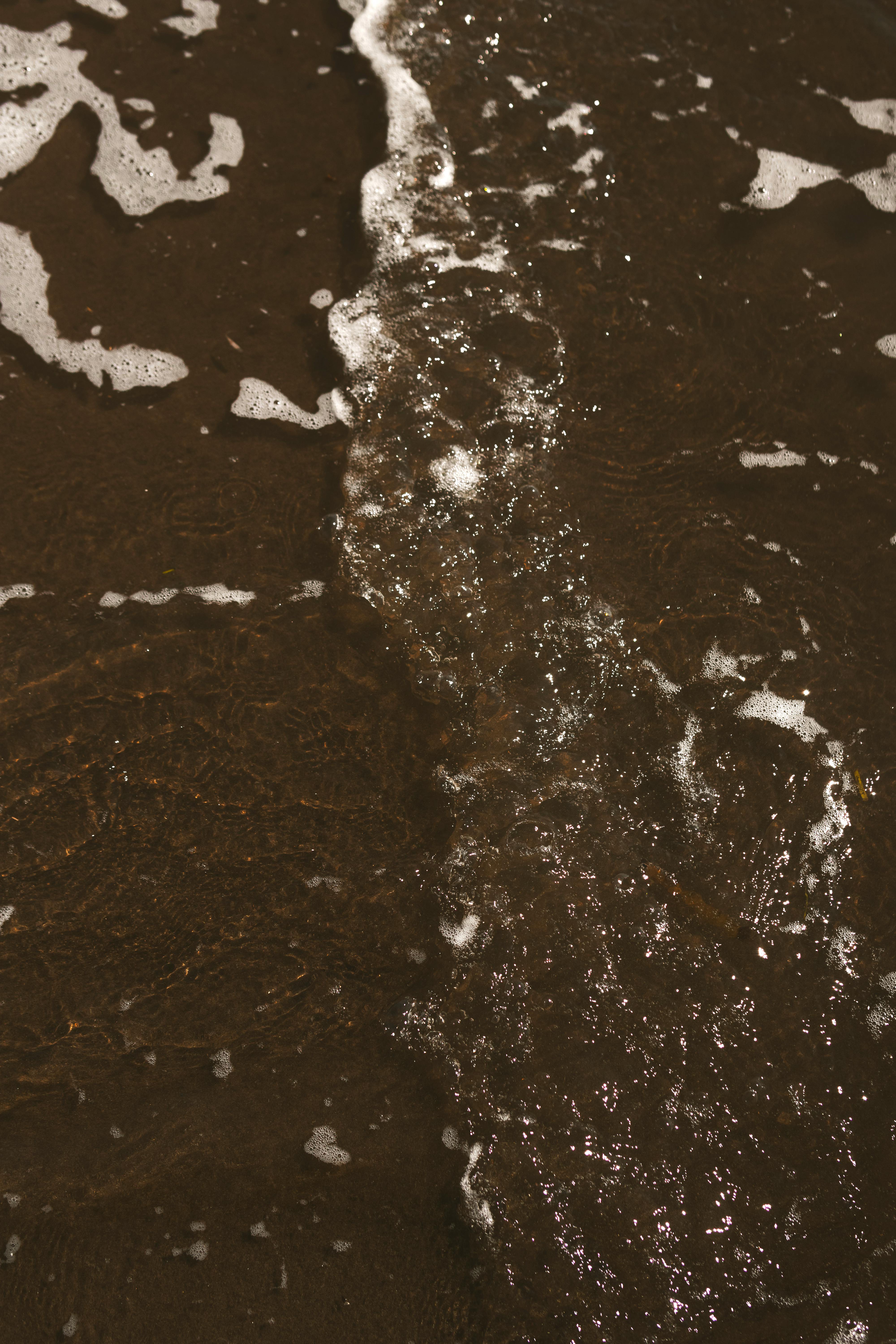 Shallow Photos, Download The BEST Free Shallow Stock Photos & HD Images