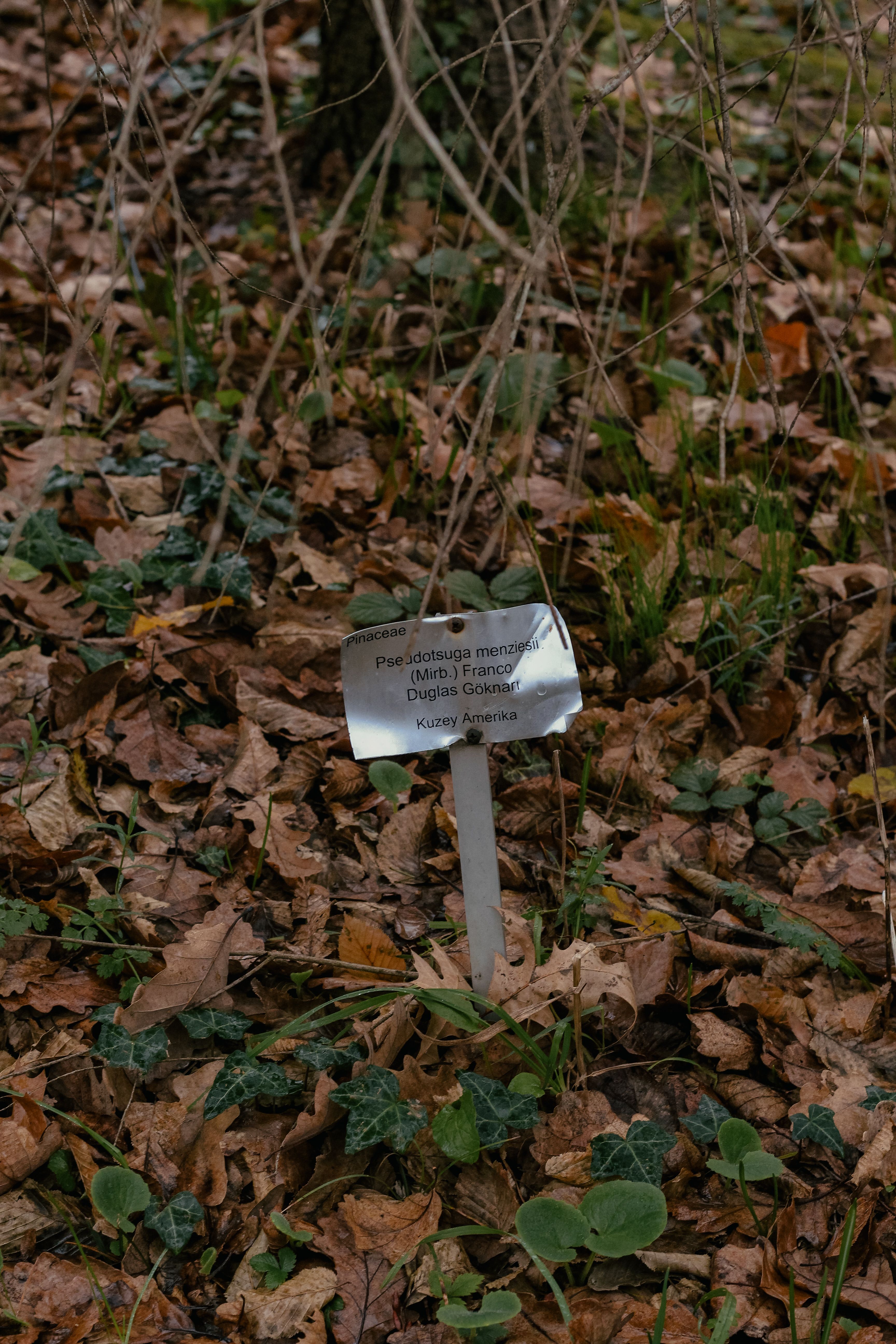 Metal Sign in Autumn · Free Stock Photo