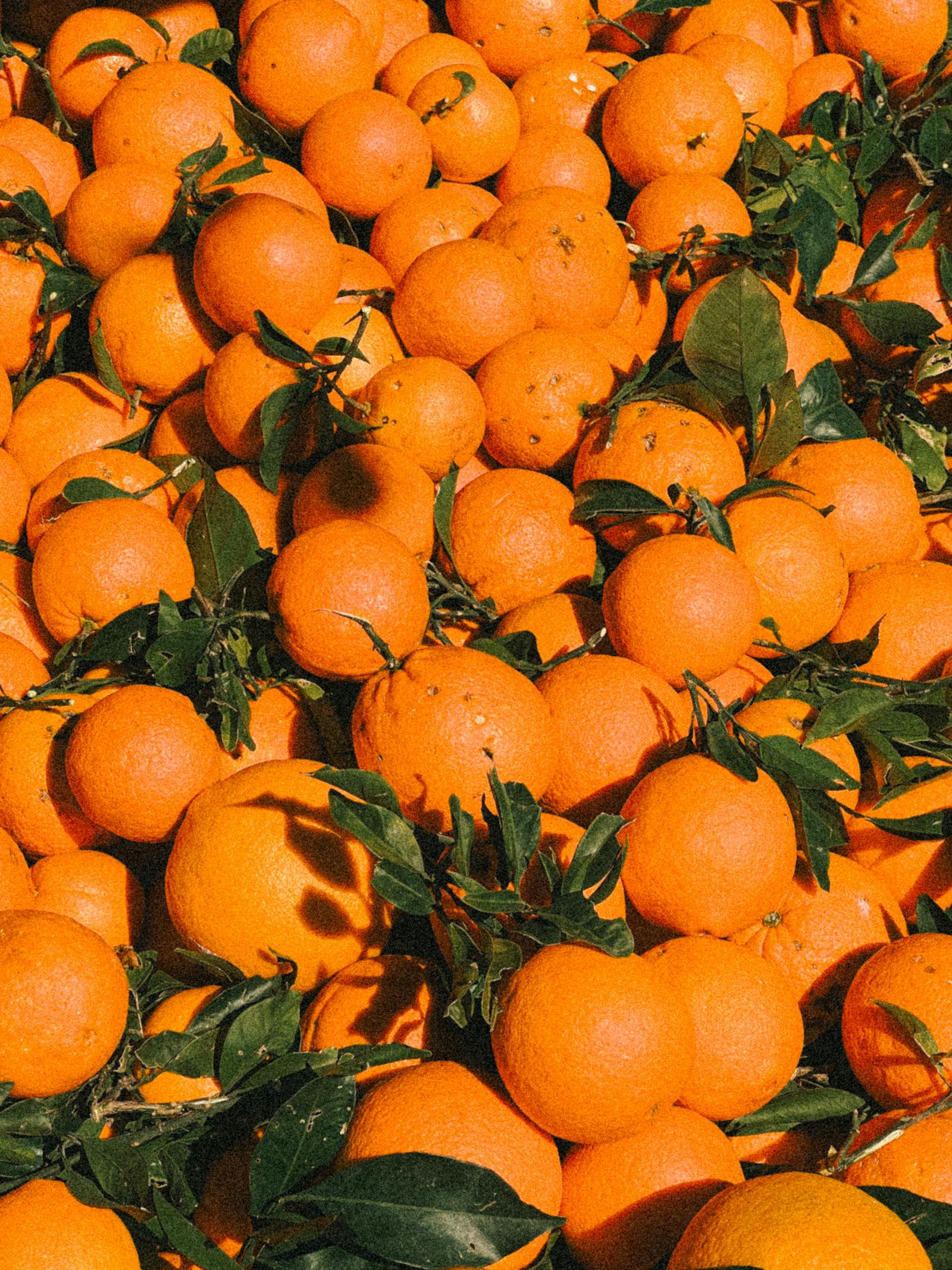 Oranges Images Photos, Download The BEST Free Oranges Images Stock ...