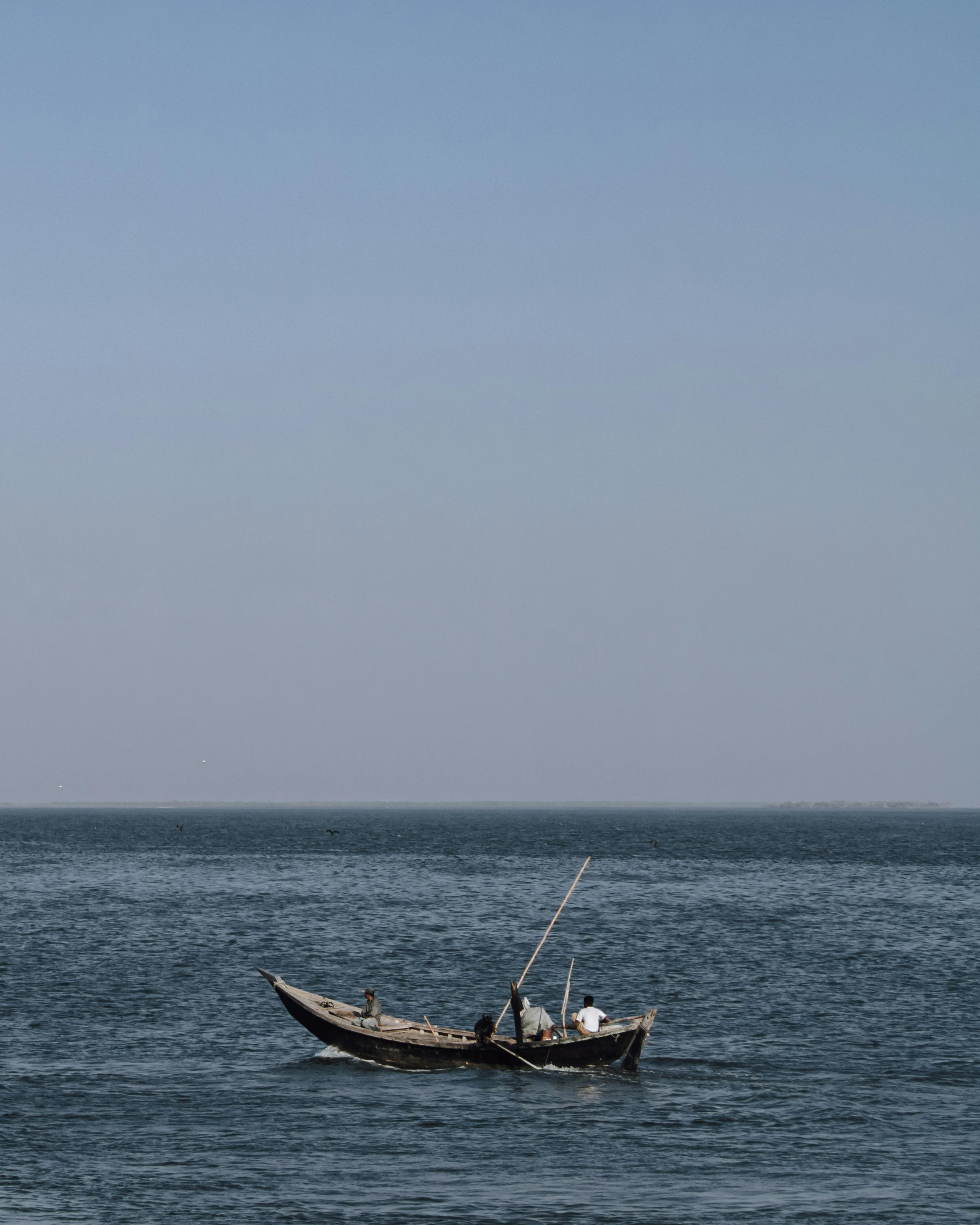 Solace Photos, Download The BEST Free Solace Stock Photos & HD Images