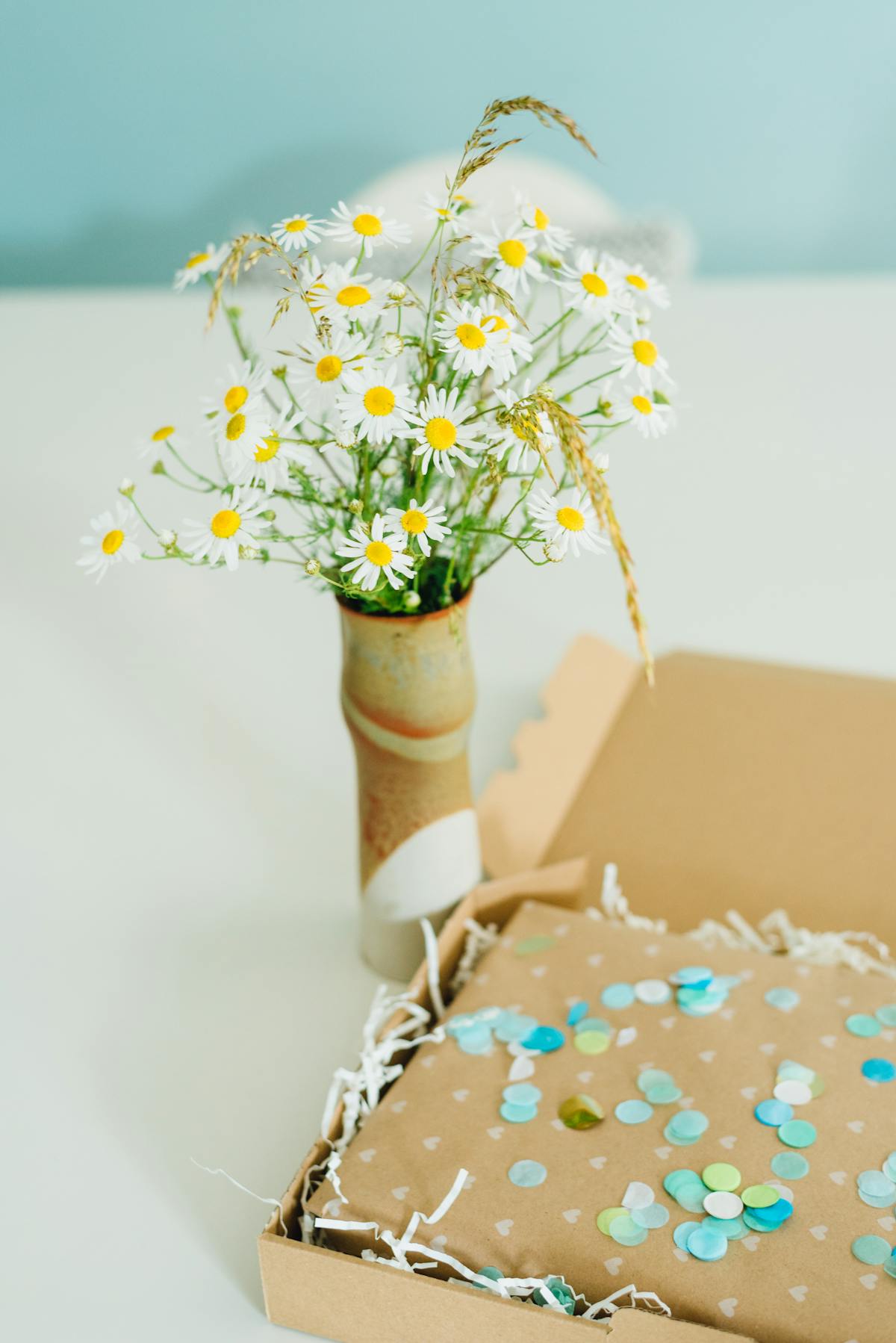 Chamomile Flowers Photos, Download The BEST Free Chamomile Flowers ...